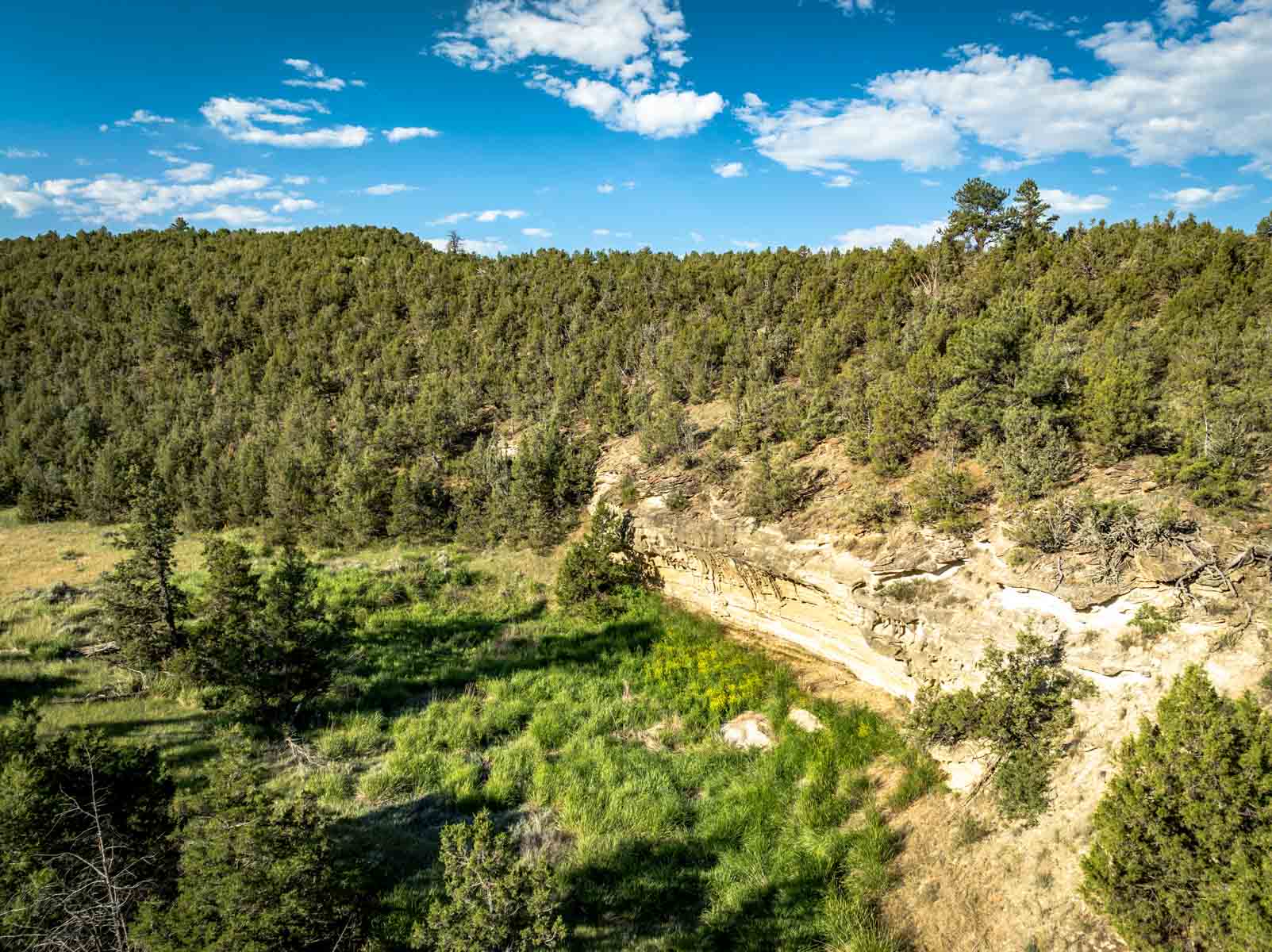 Lazy XY Ranch - Sold - Montana - Hall and Hall