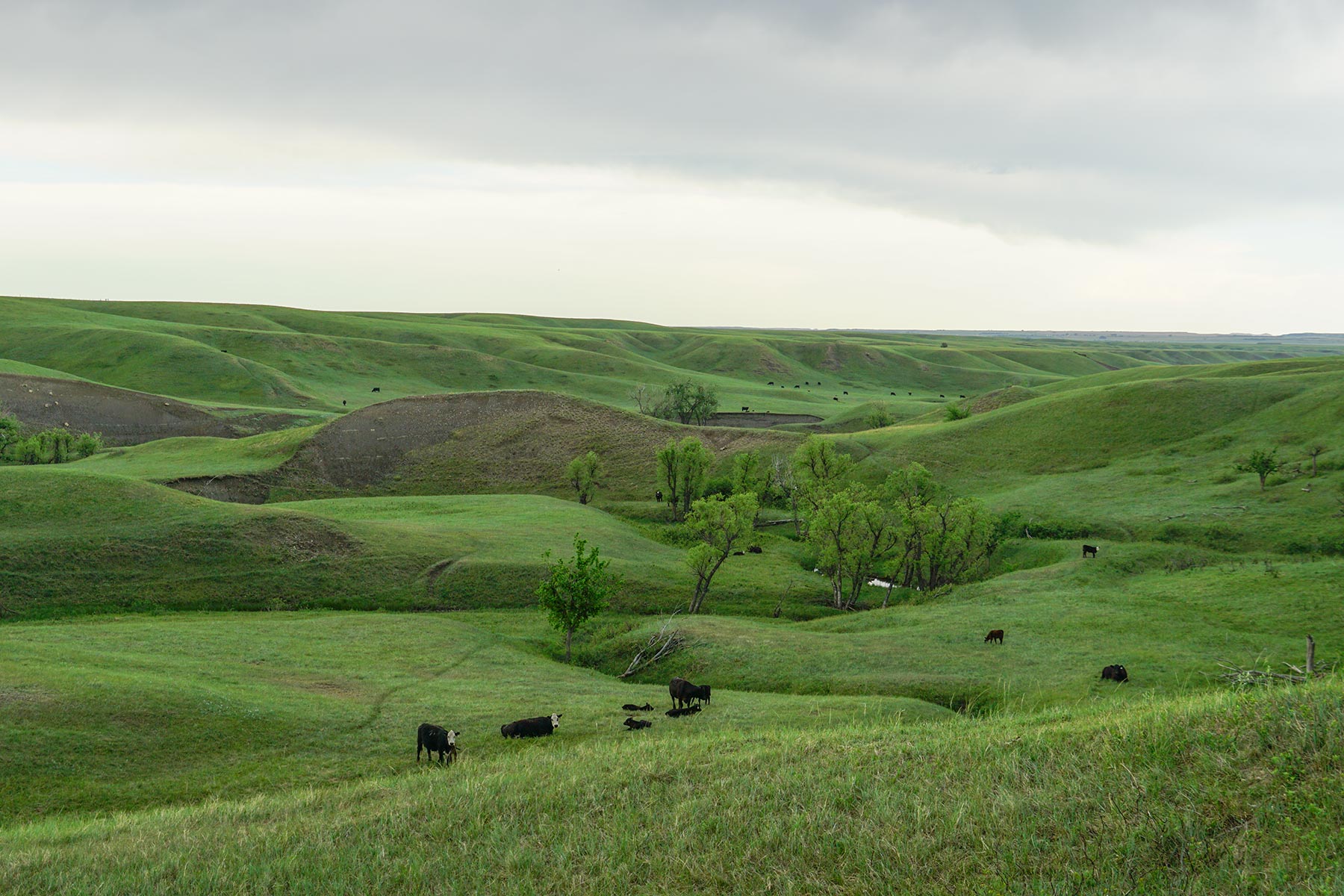 Cheyenne River Ranch - Sold - South Dakota - Hall and Hall