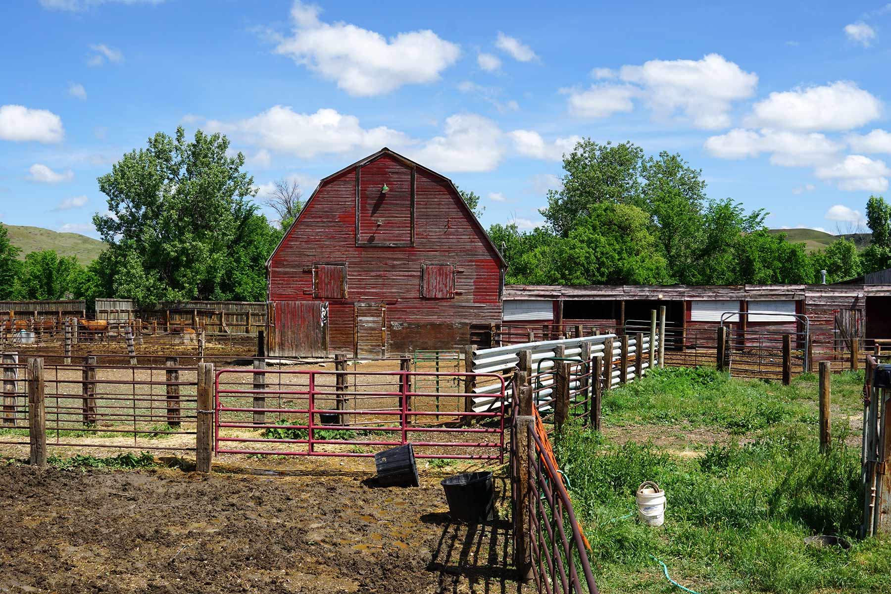 Cheyenne River Ranch - Sold - South Dakota - Hall and Hall