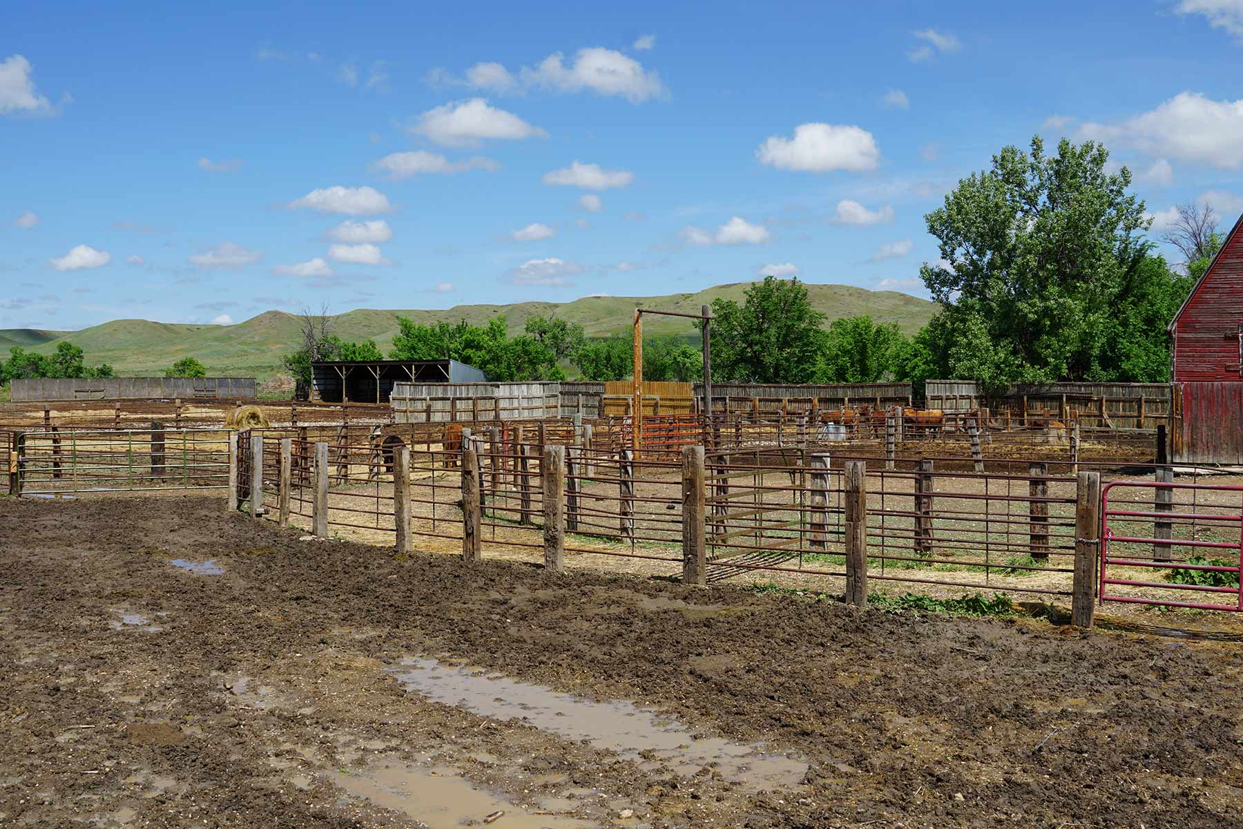 Cheyenne River Ranch - Sold - South Dakota - Hall and Hall