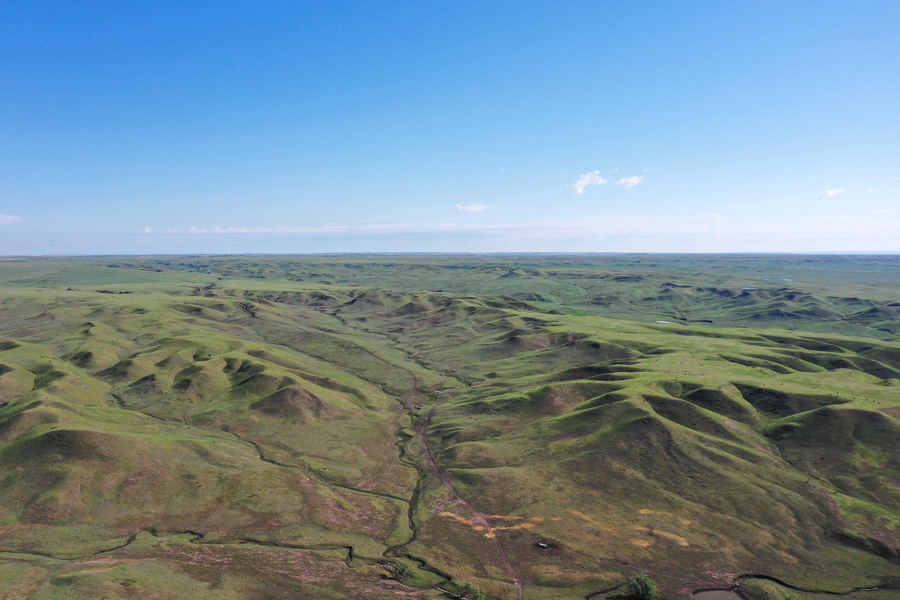 Cheyenne River Ranch - Sold - South Dakota - Hall and Hall