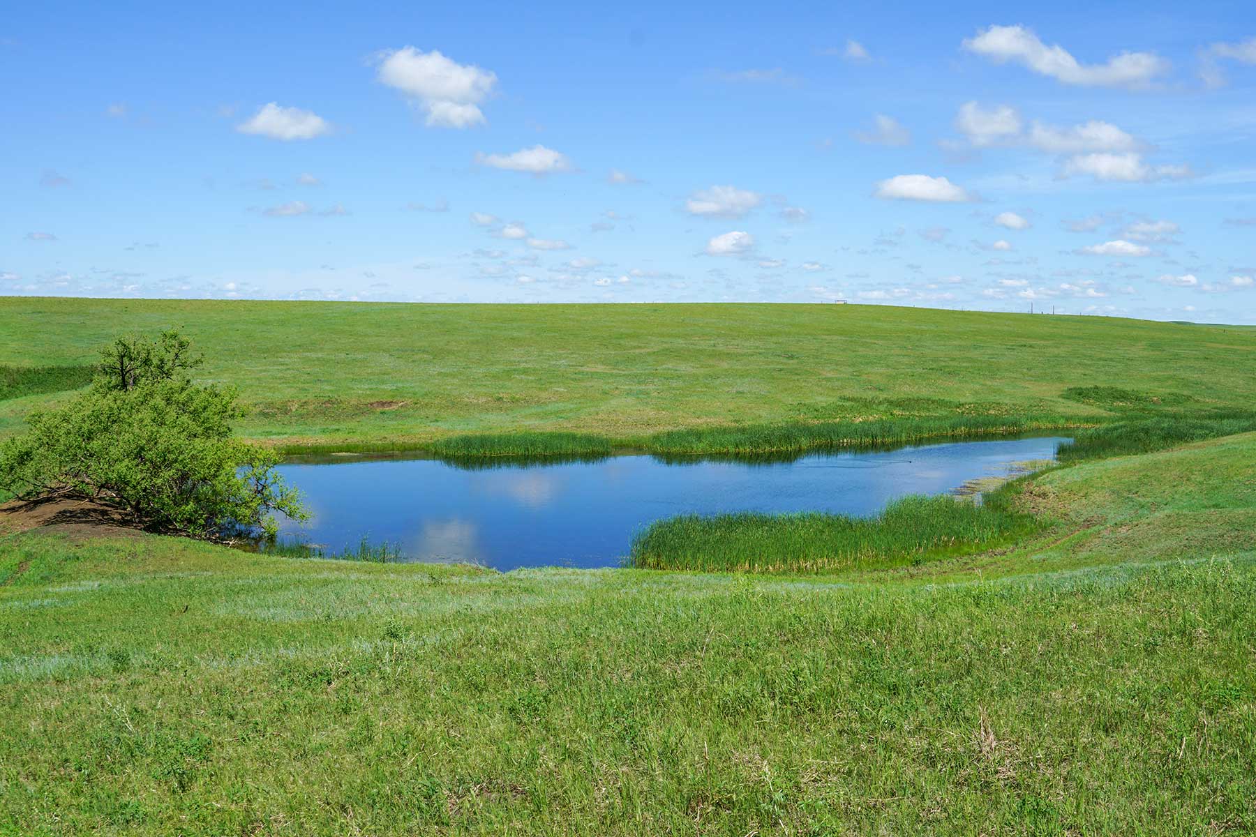 Cheyenne River Ranch - Sold - South Dakota - Hall and Hall