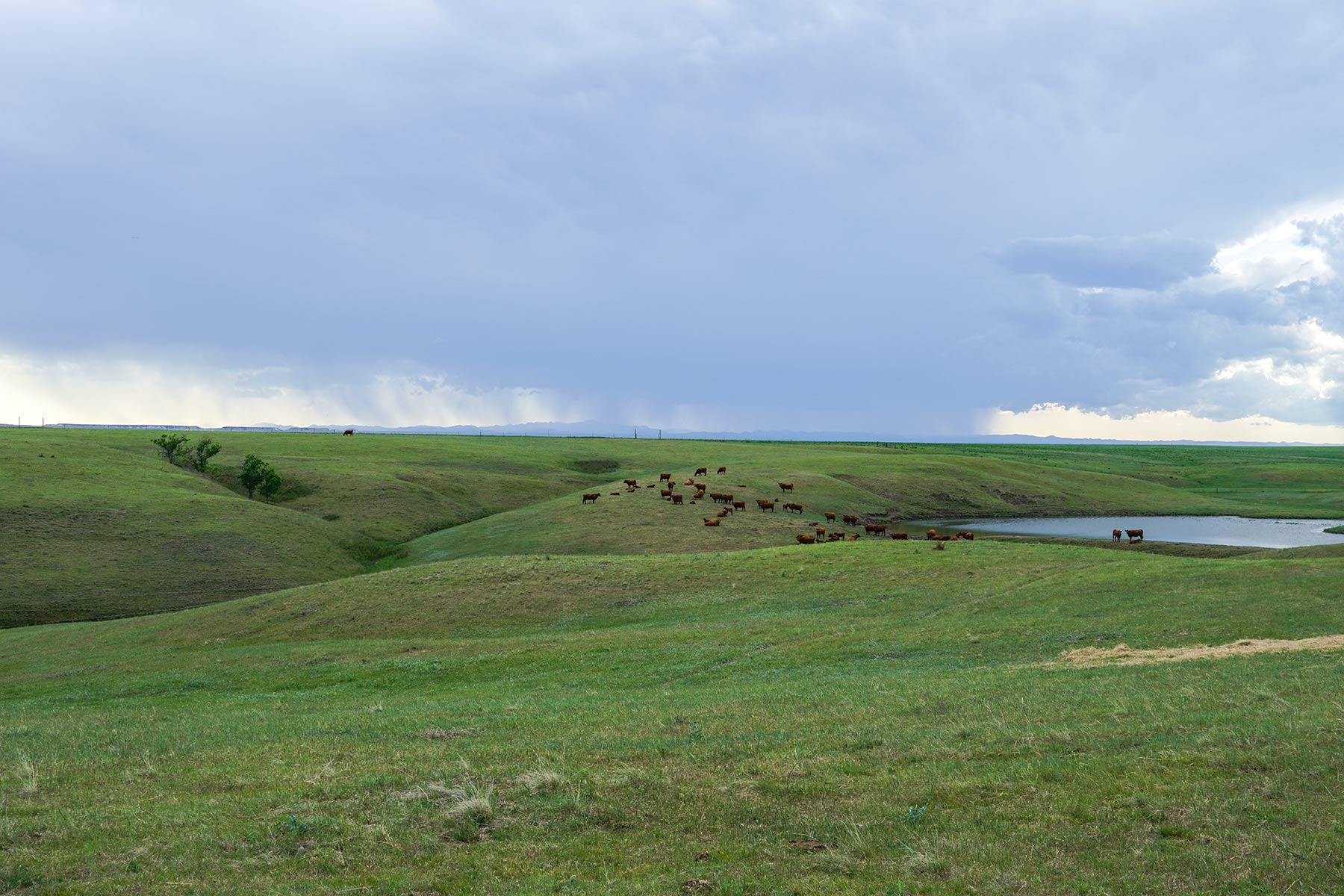 Cheyenne River Ranch - Sold - South Dakota - Hall and Hall