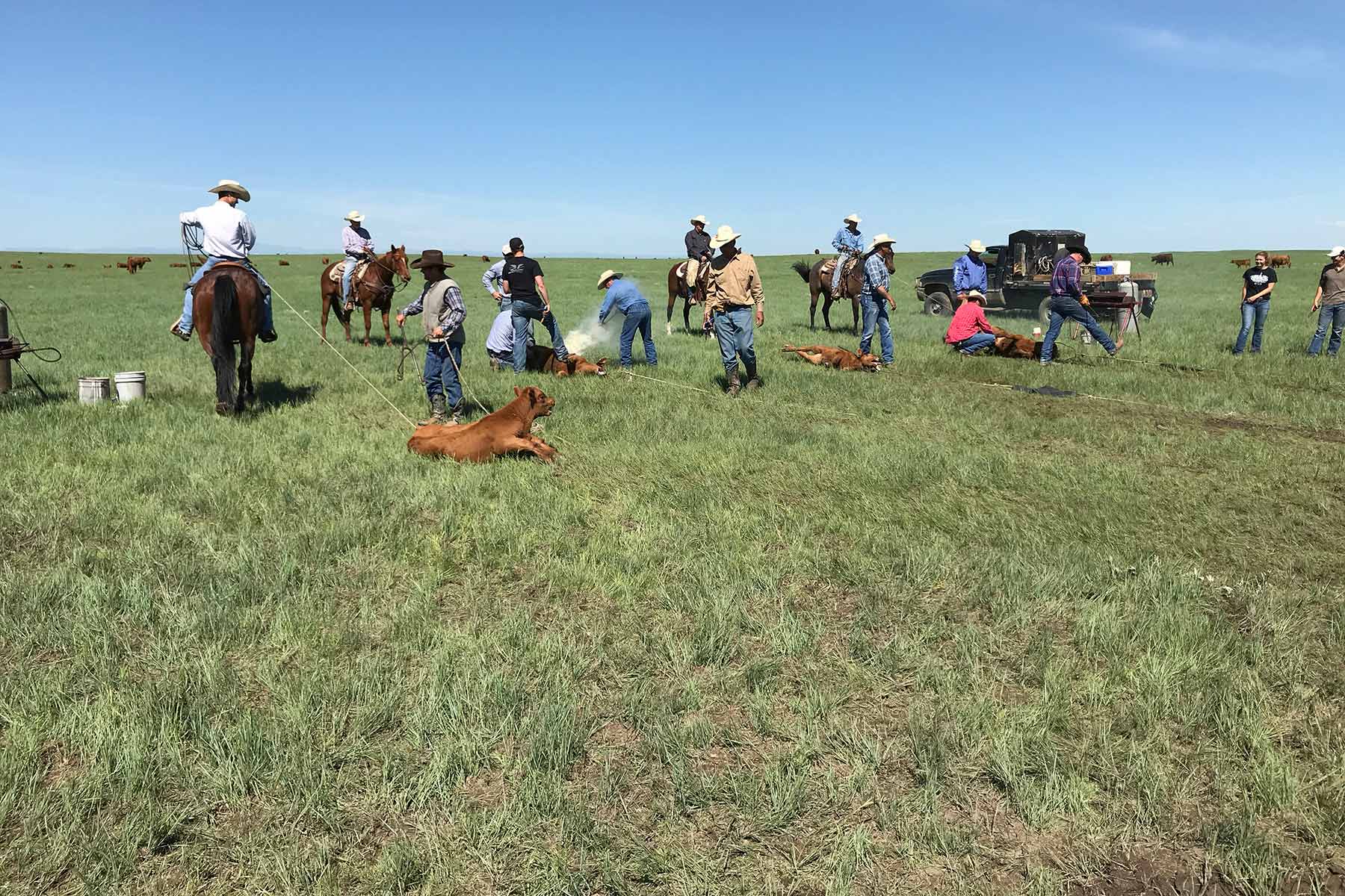Cheyenne River Ranch - Sold - South Dakota - Hall and Hall