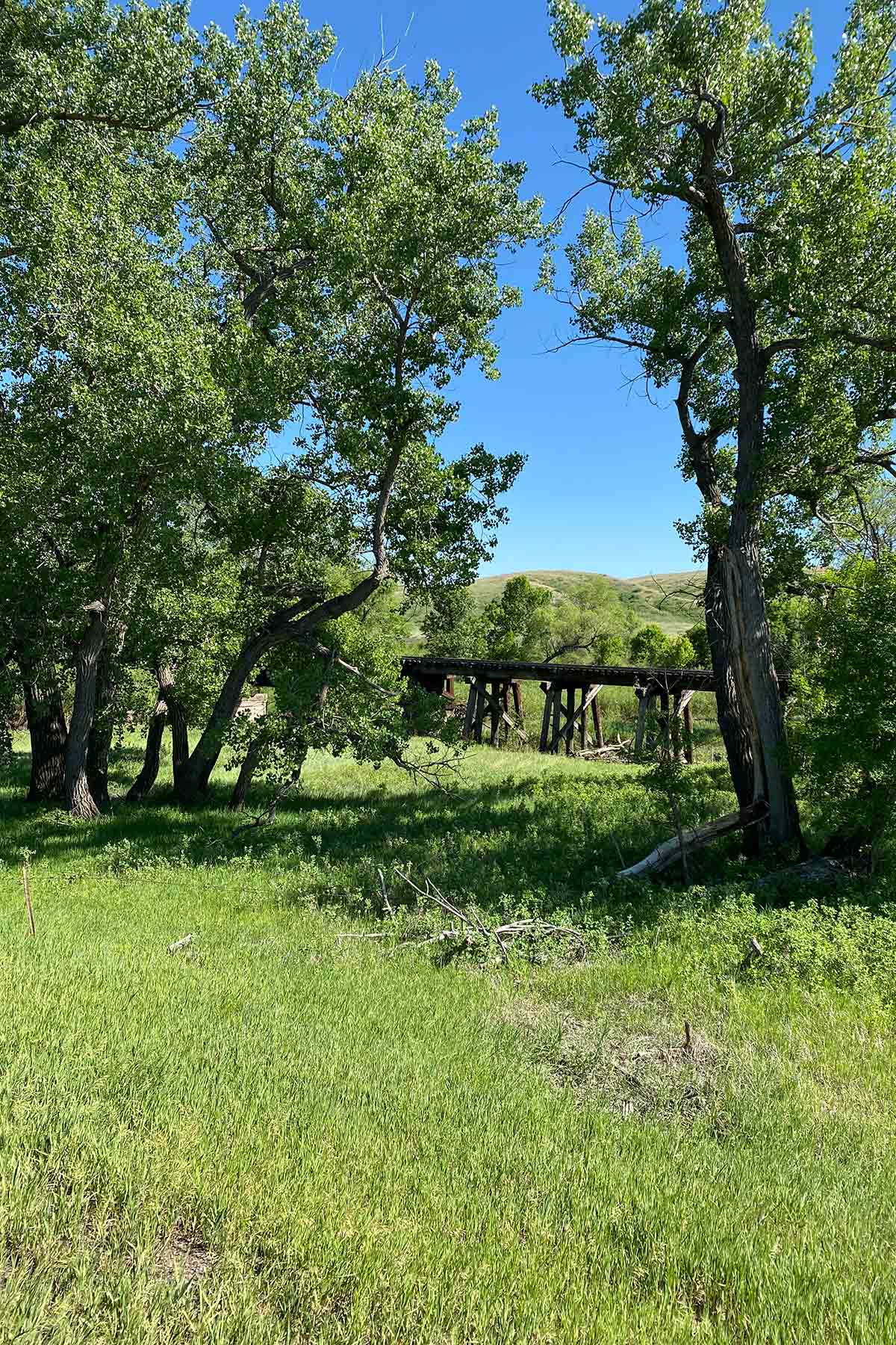 Cheyenne River Ranch - Sold - South Dakota - Hall and Hall