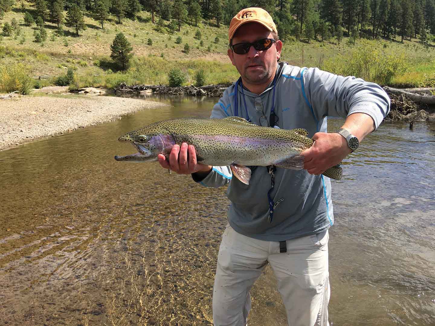 Hidden Lake Ranch - Sold - Colorado - Hall and Hall
