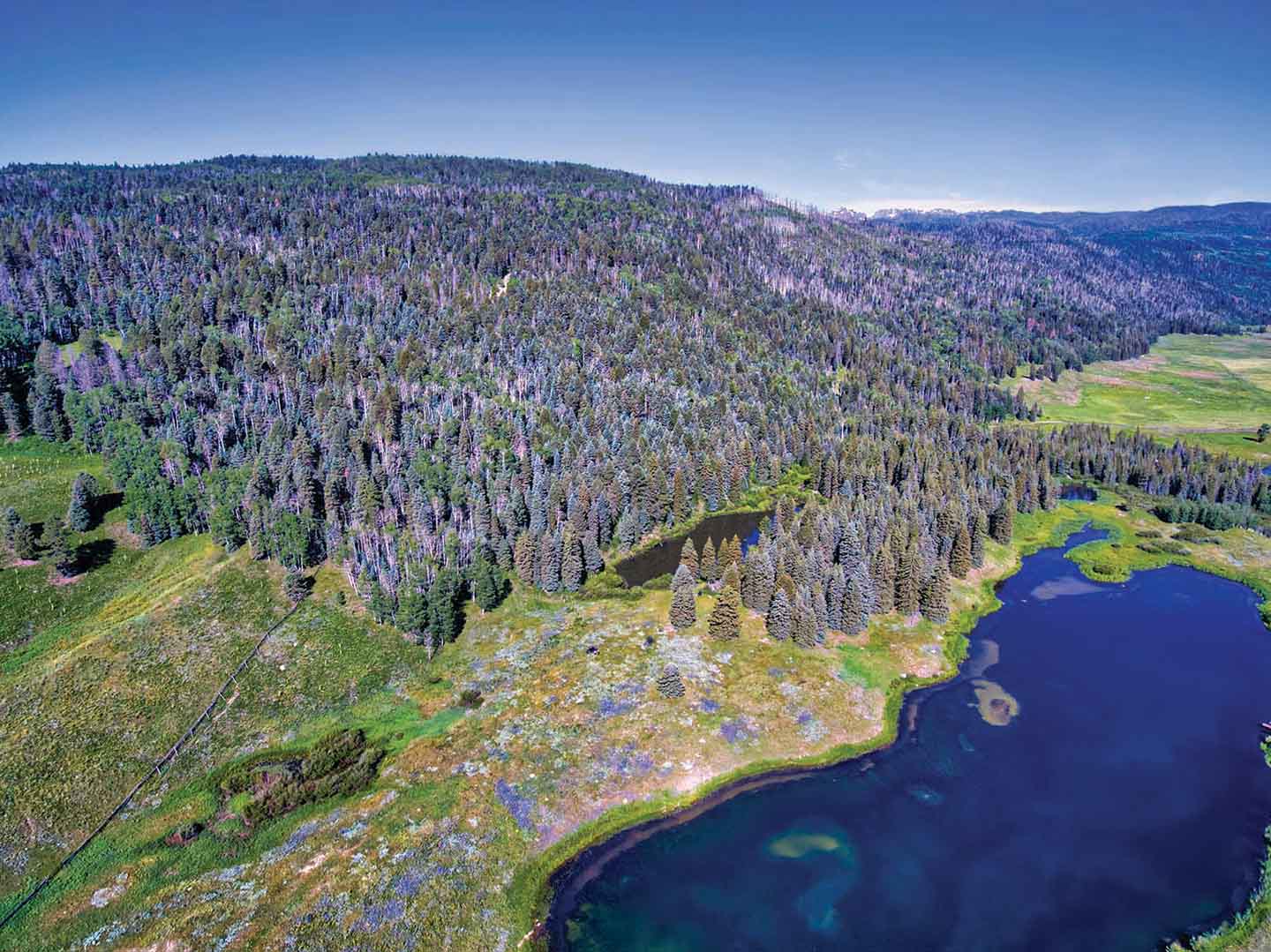 Hidden Lake Ranch - Sold - Colorado - Hall and Hall