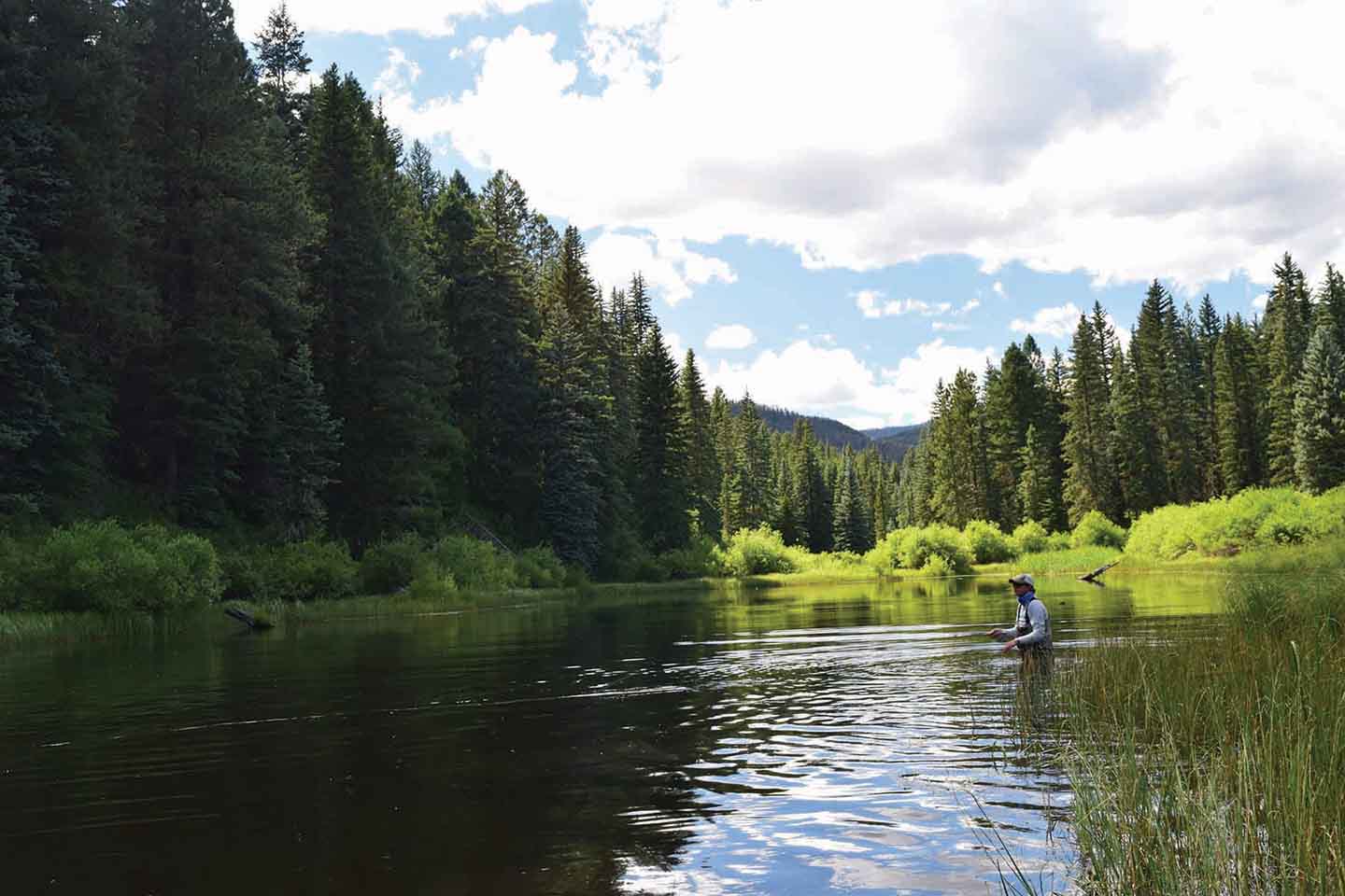 Hidden Lake Ranch - Sold - Colorado - Hall and Hall