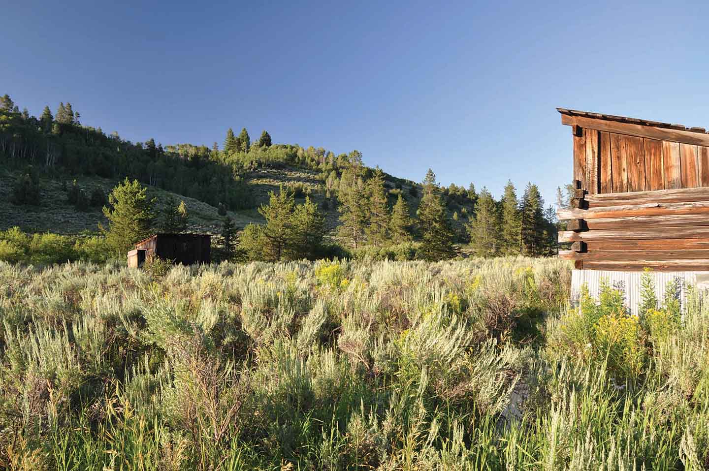Teton View Ranch on Conant Creek - Sold - Idaho - Hall and Hall