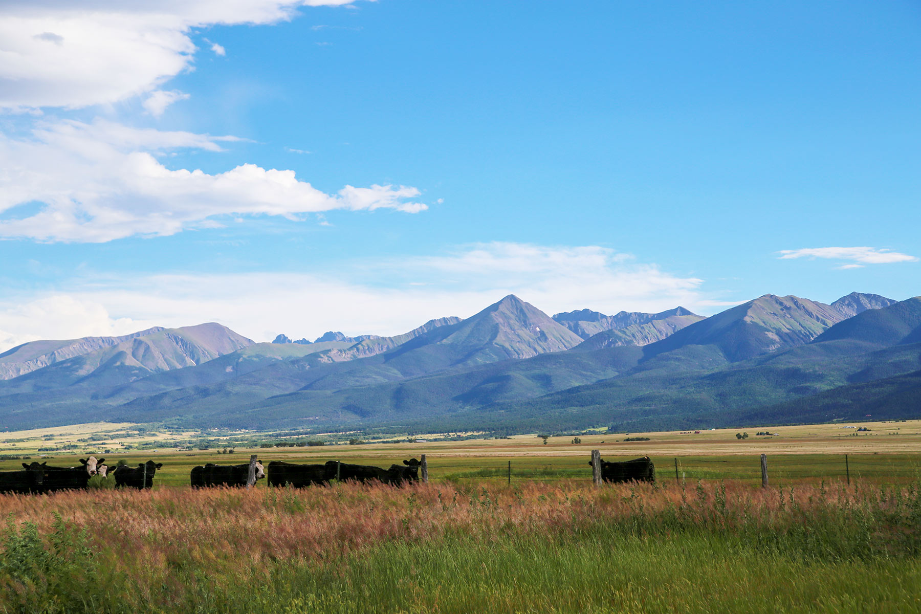 Beckwith Ranch - Sold - Colorado - Hall and Hall