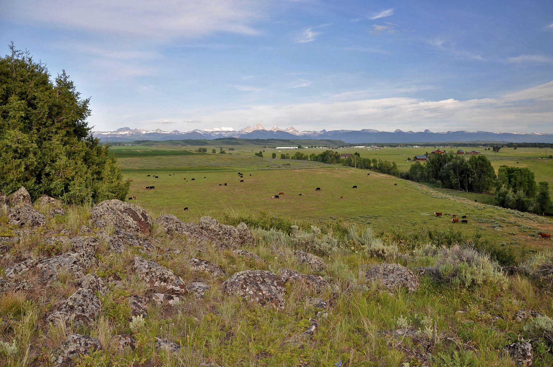 Teton Vistas Ranch - Sold - Idaho - Hall and Hall