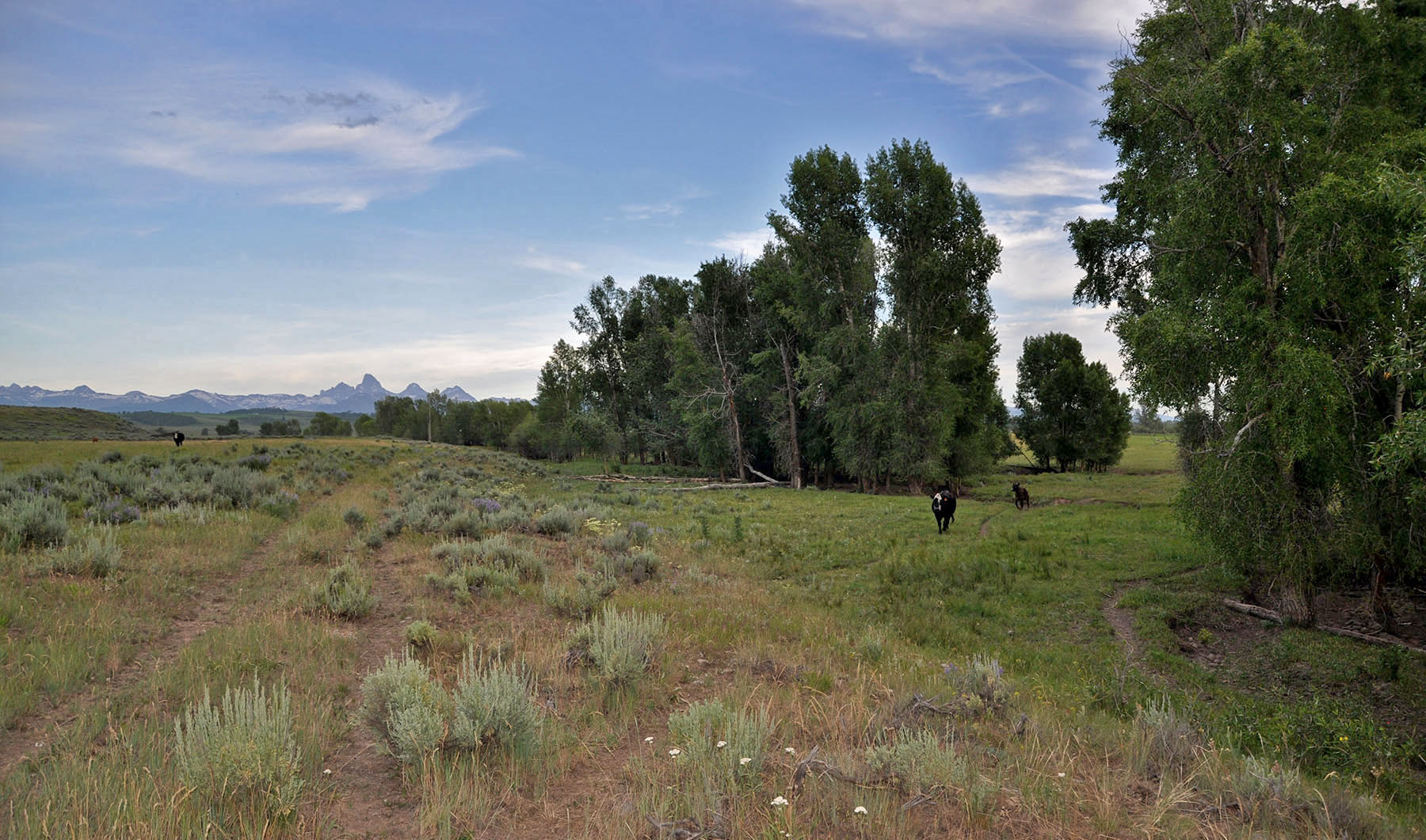 Teton Vistas Ranch - Sold - Idaho - Hall and Hall