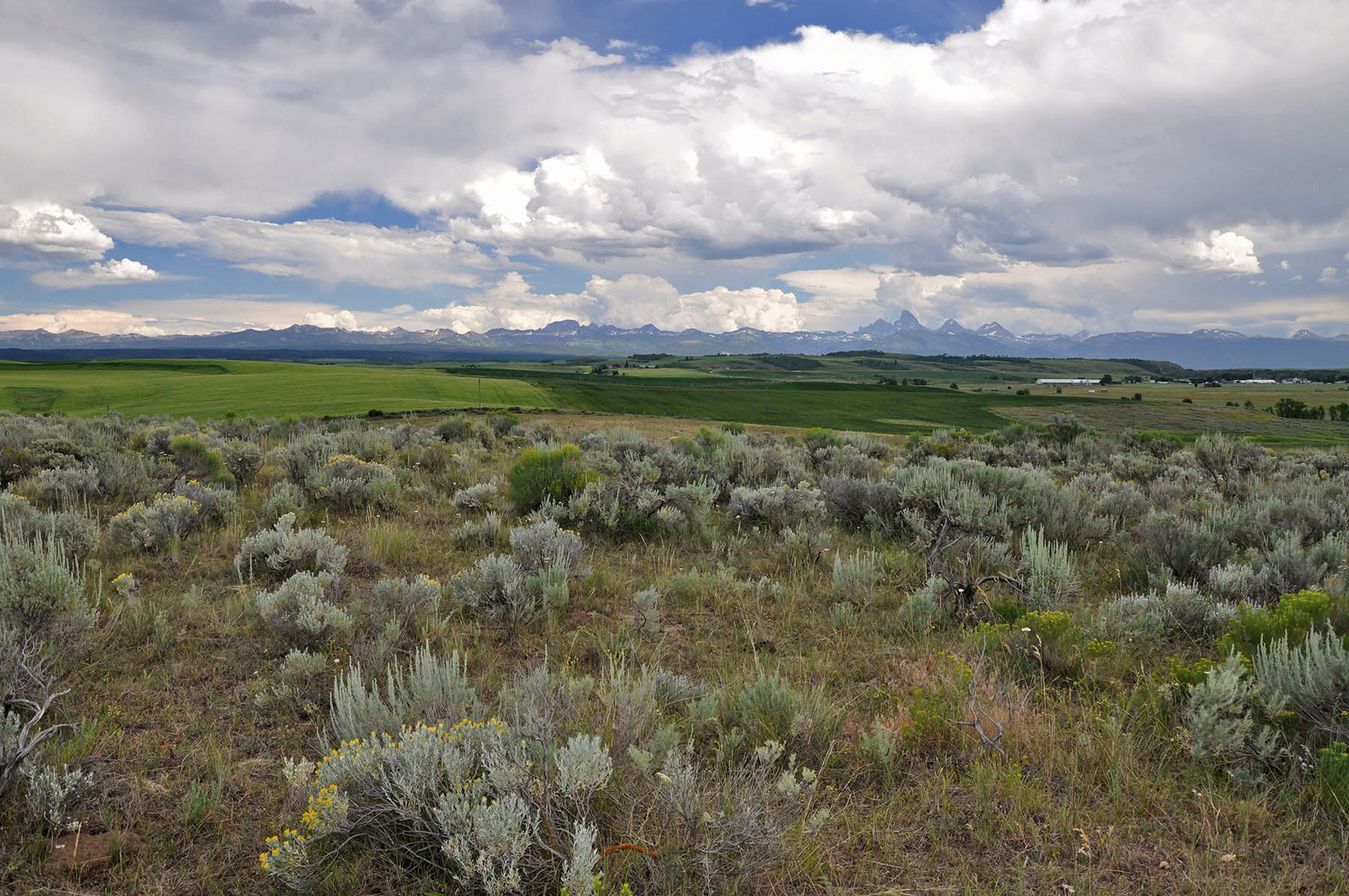 Teton Vistas Ranch - Sold - Idaho - Hall and Hall