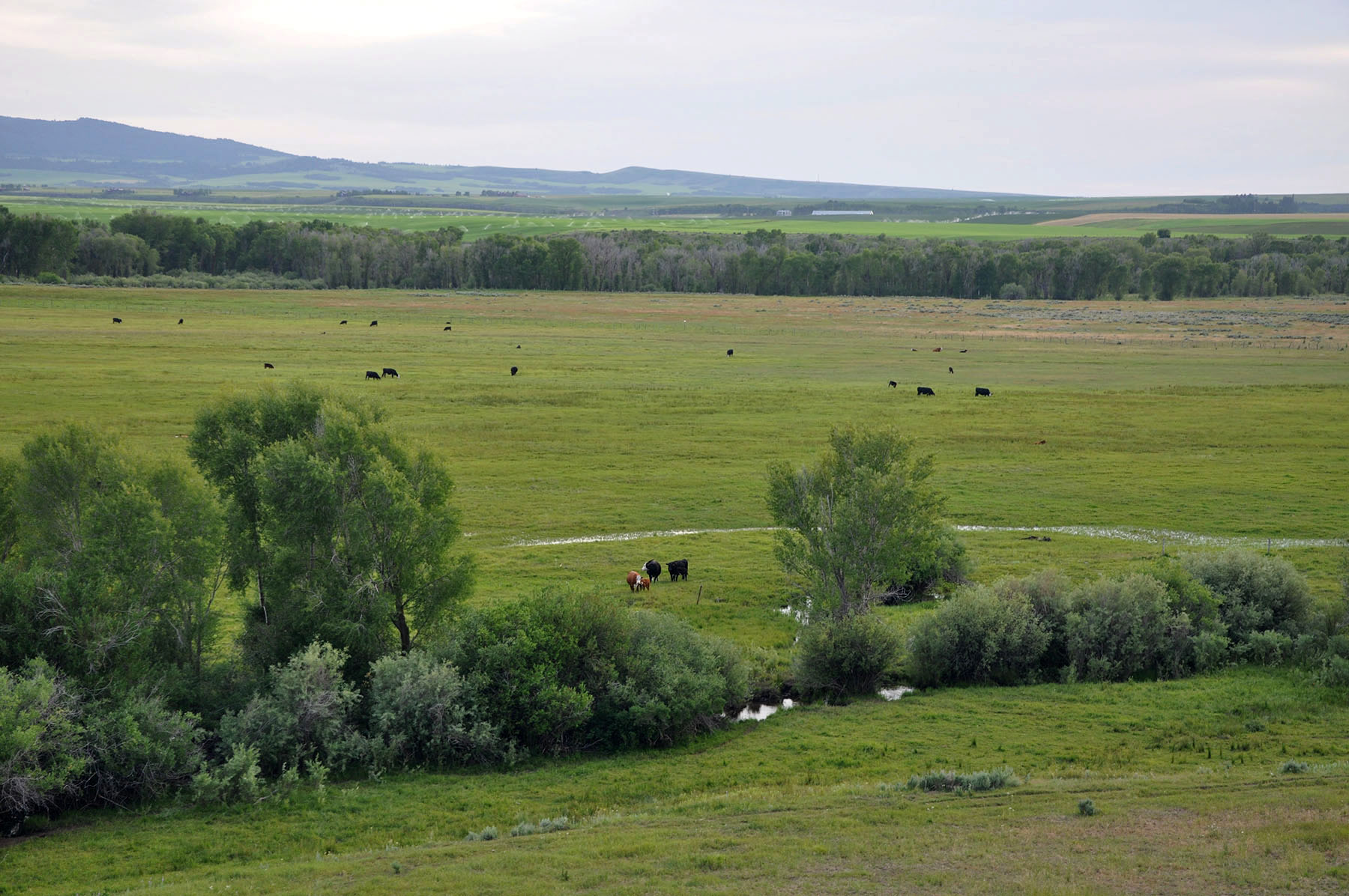 Teton Vistas Ranch - Sold - Idaho - Hall and Hall