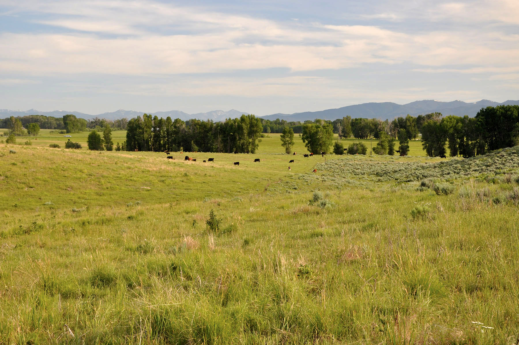 Teton Vistas Ranch - Sold - Idaho - Hall and Hall