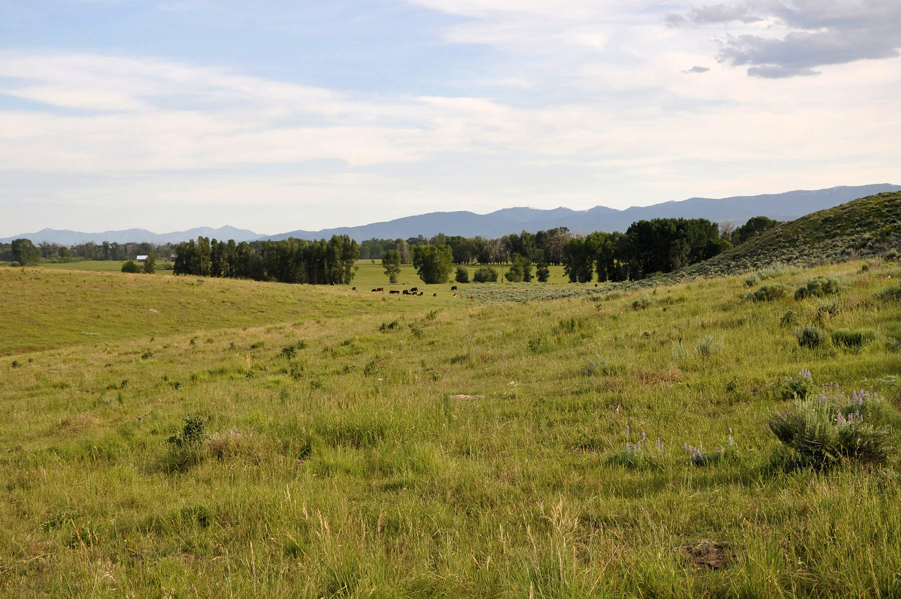 Teton Vistas Ranch - Sold - Idaho - Hall and Hall
