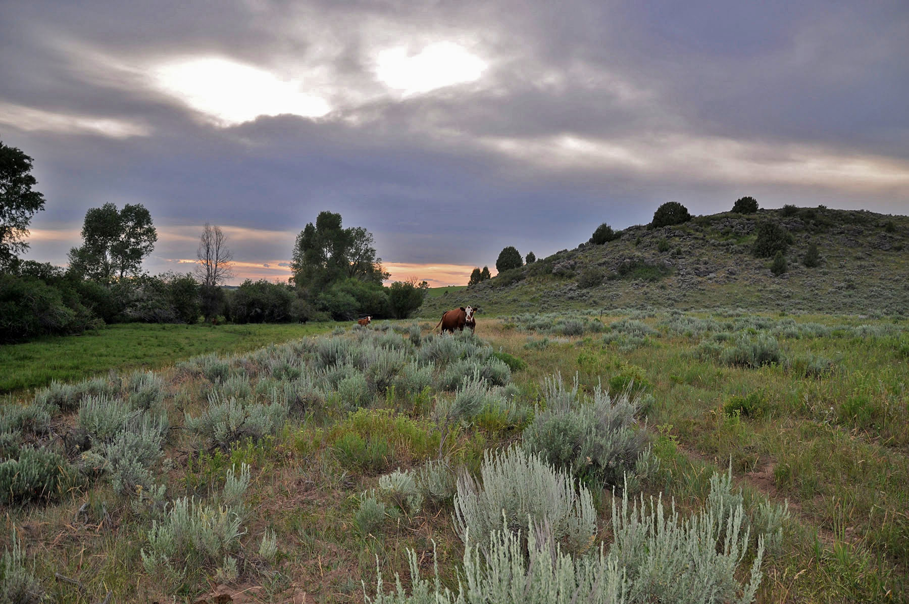 Teton Vistas Ranch - Sold - Idaho - Hall and Hall