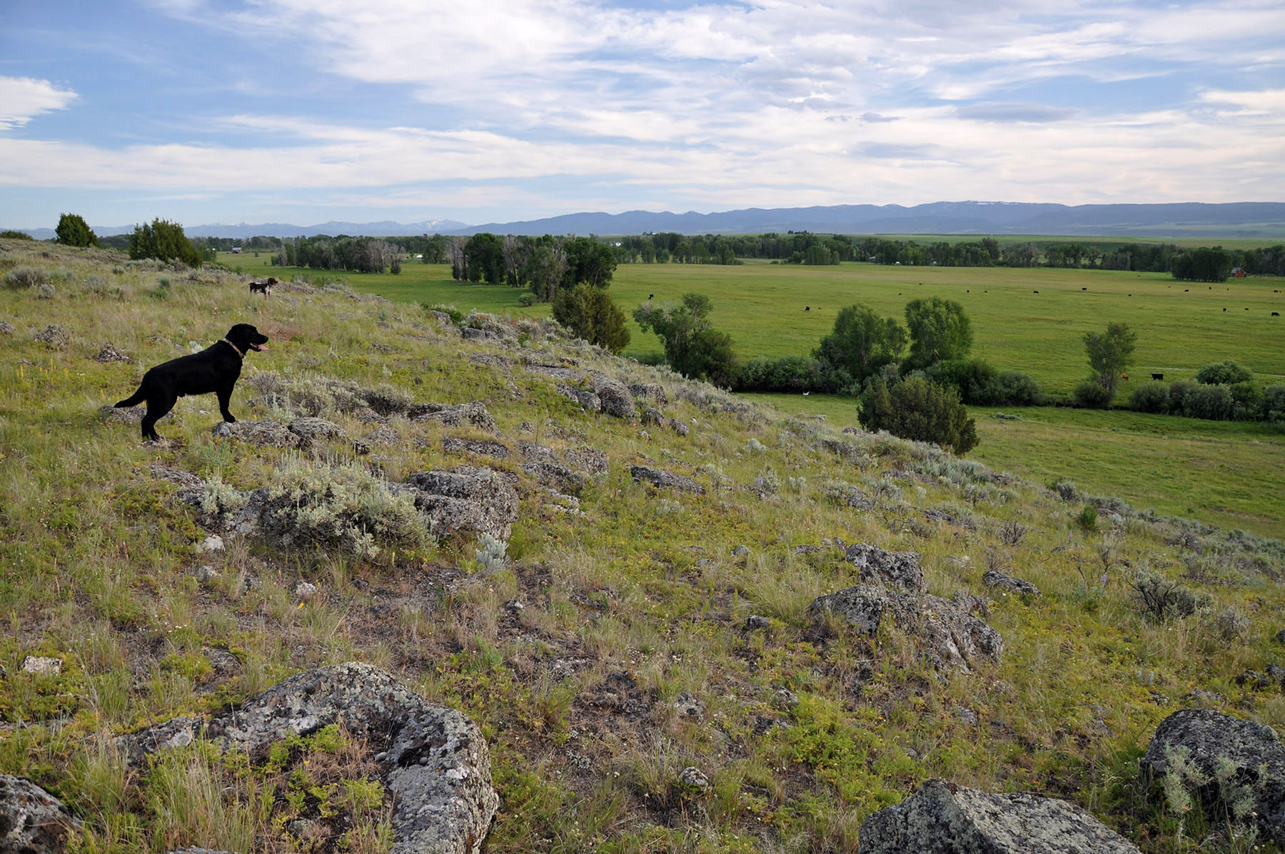 Teton Vistas Ranch - Sold - Idaho - Hall and Hall