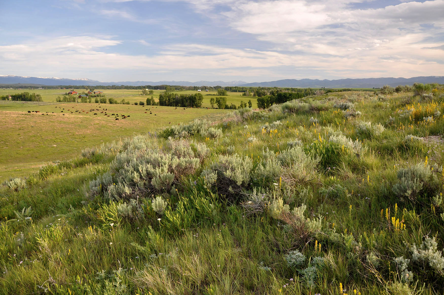 Teton Vistas Ranch - Sold - Idaho - Hall and Hall