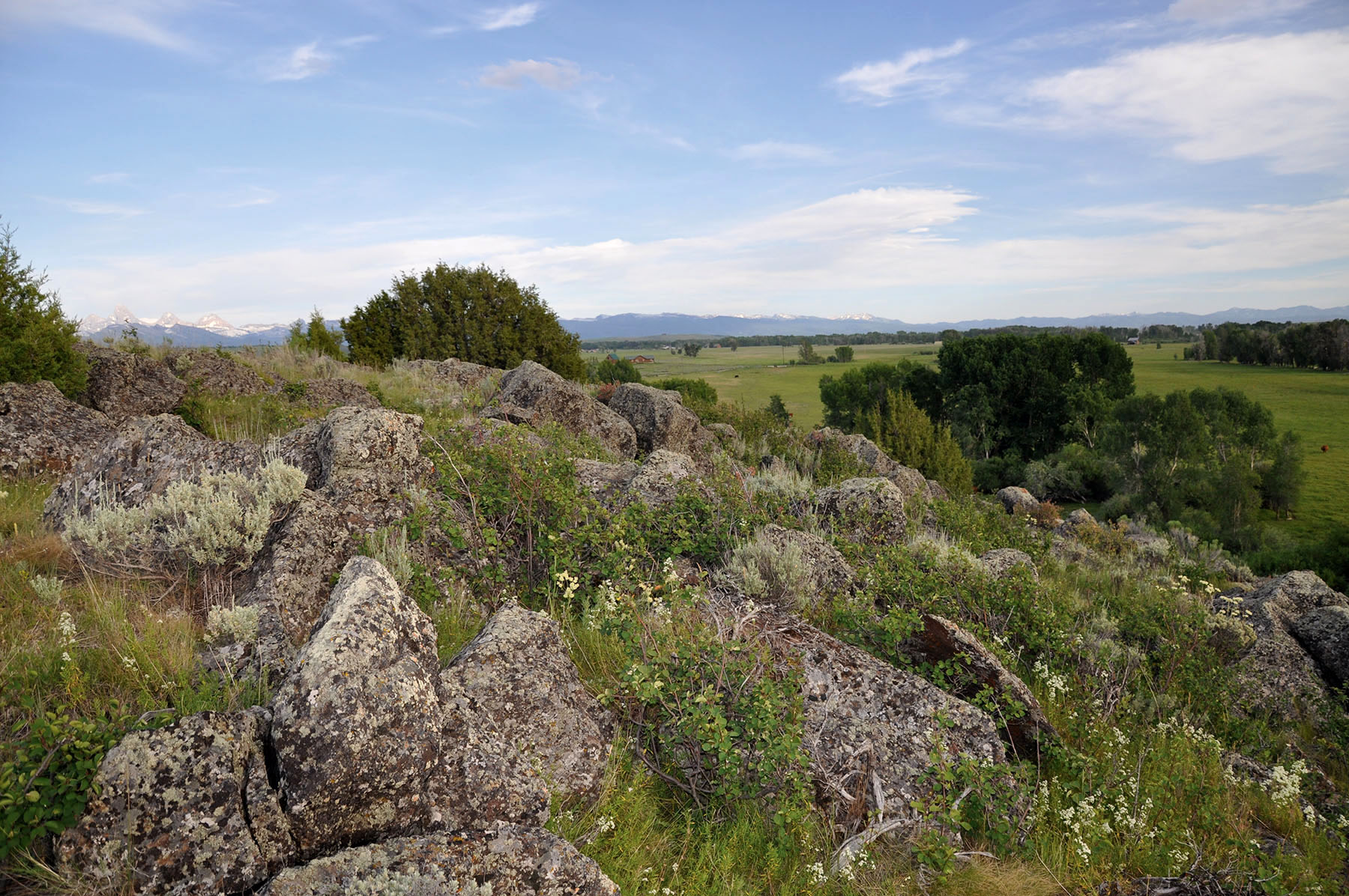 Teton Vistas Ranch - Sold - Idaho - Hall and Hall