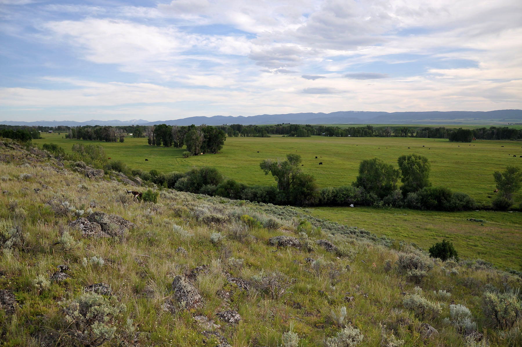 Teton Vistas Ranch - Sold - Idaho - Hall and Hall