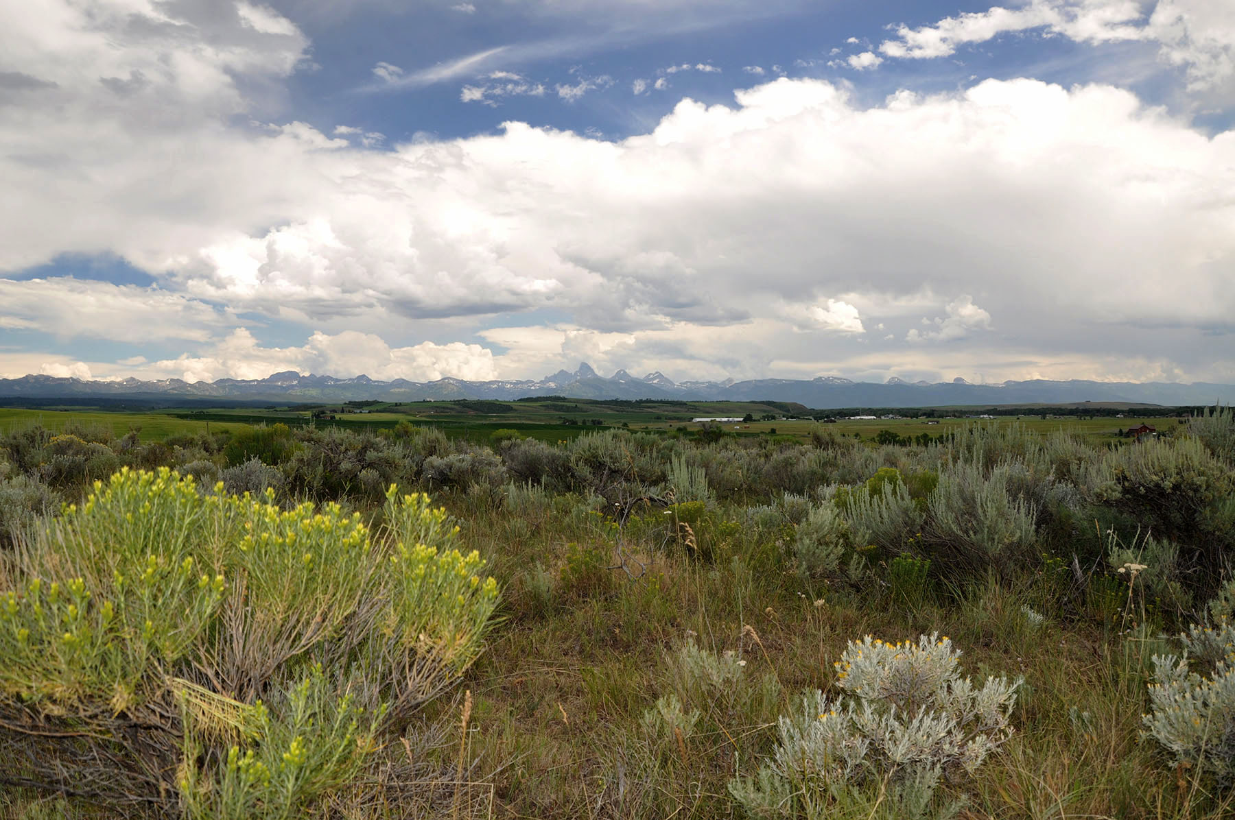 Teton Vistas Ranch - Sold - Idaho - Hall and Hall