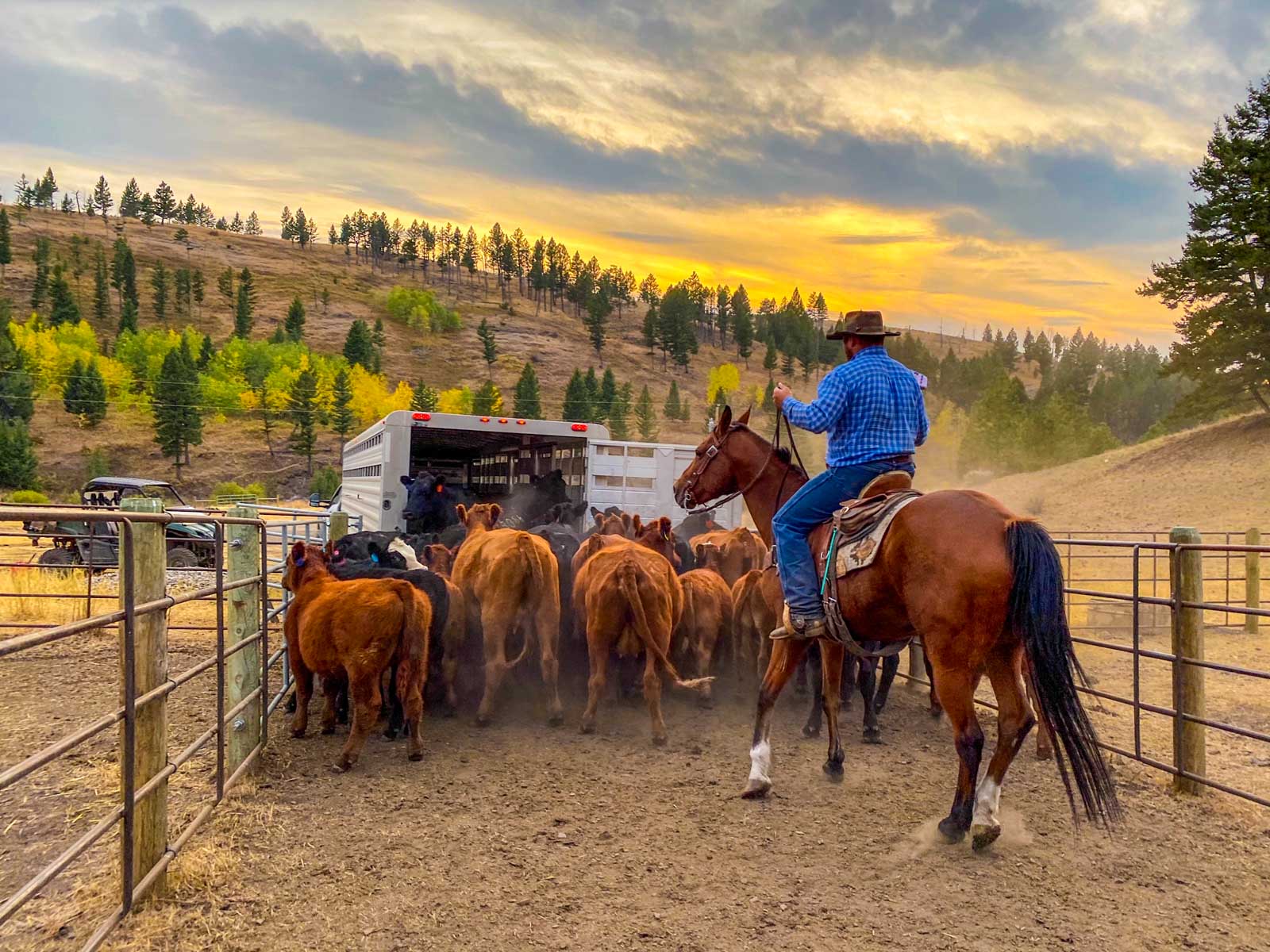 Upper Greyson Creek Ranch - Sold - Montana - Hall and Hall