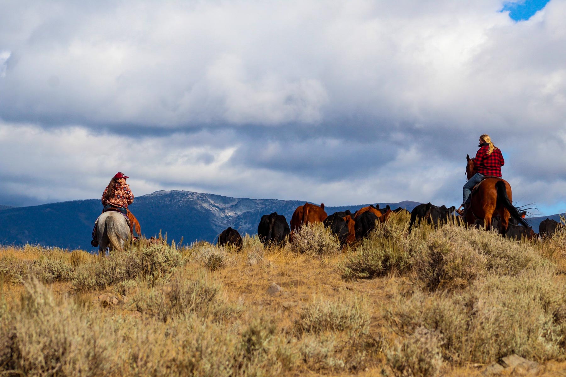 Upper Greyson Creek Ranch - Sold - Montana - Hall and Hall