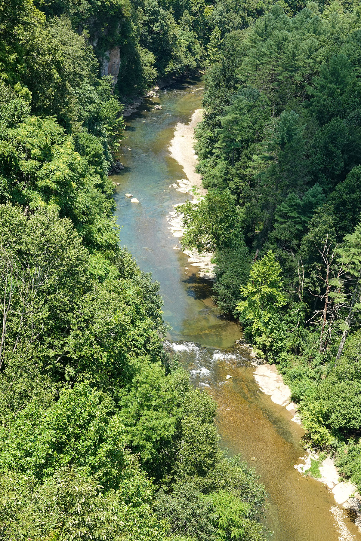 River Ridge Ranch - Sold - Virginia - Hall and Hall