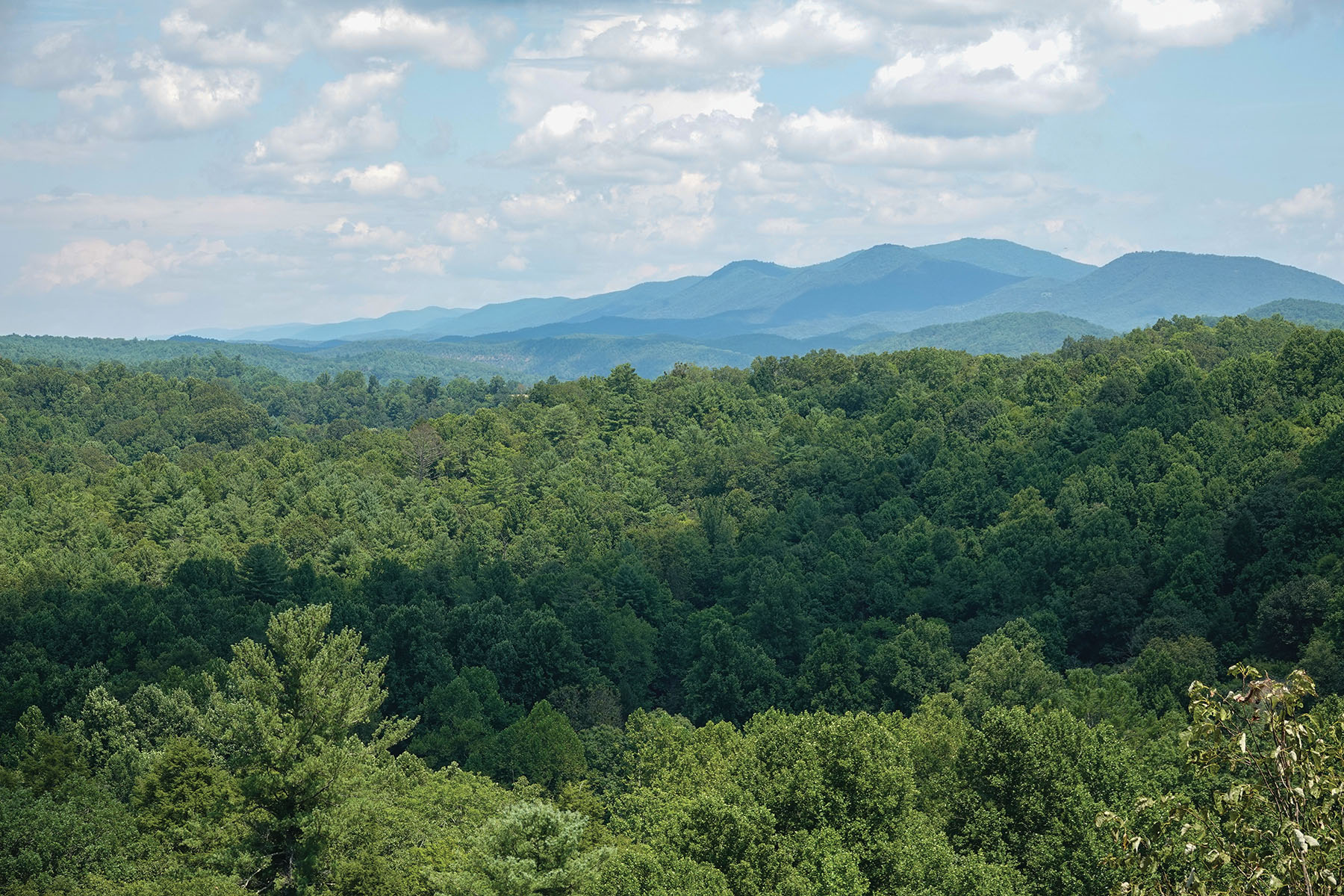 River Ridge Ranch - Sold - Virginia - Hall and Hall