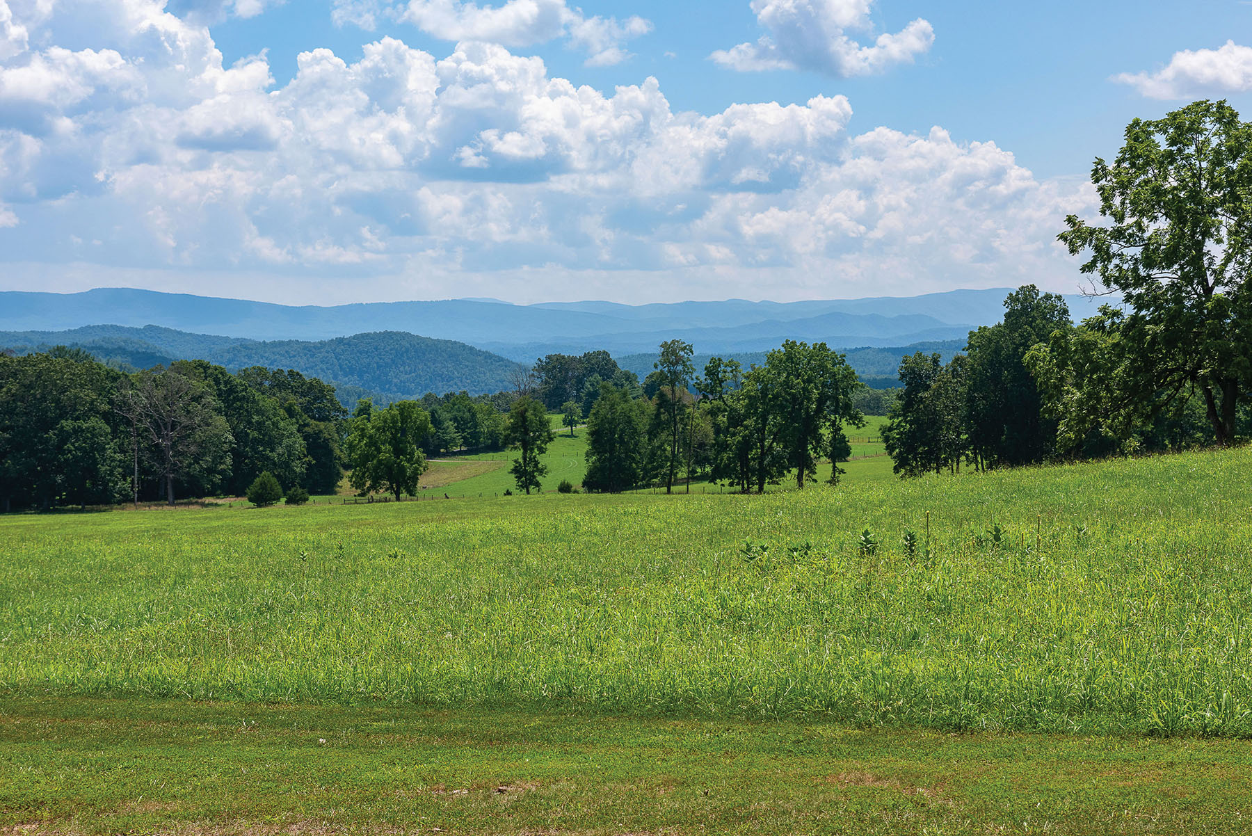 River Ridge Ranch - Sold - Virginia - Hall and Hall