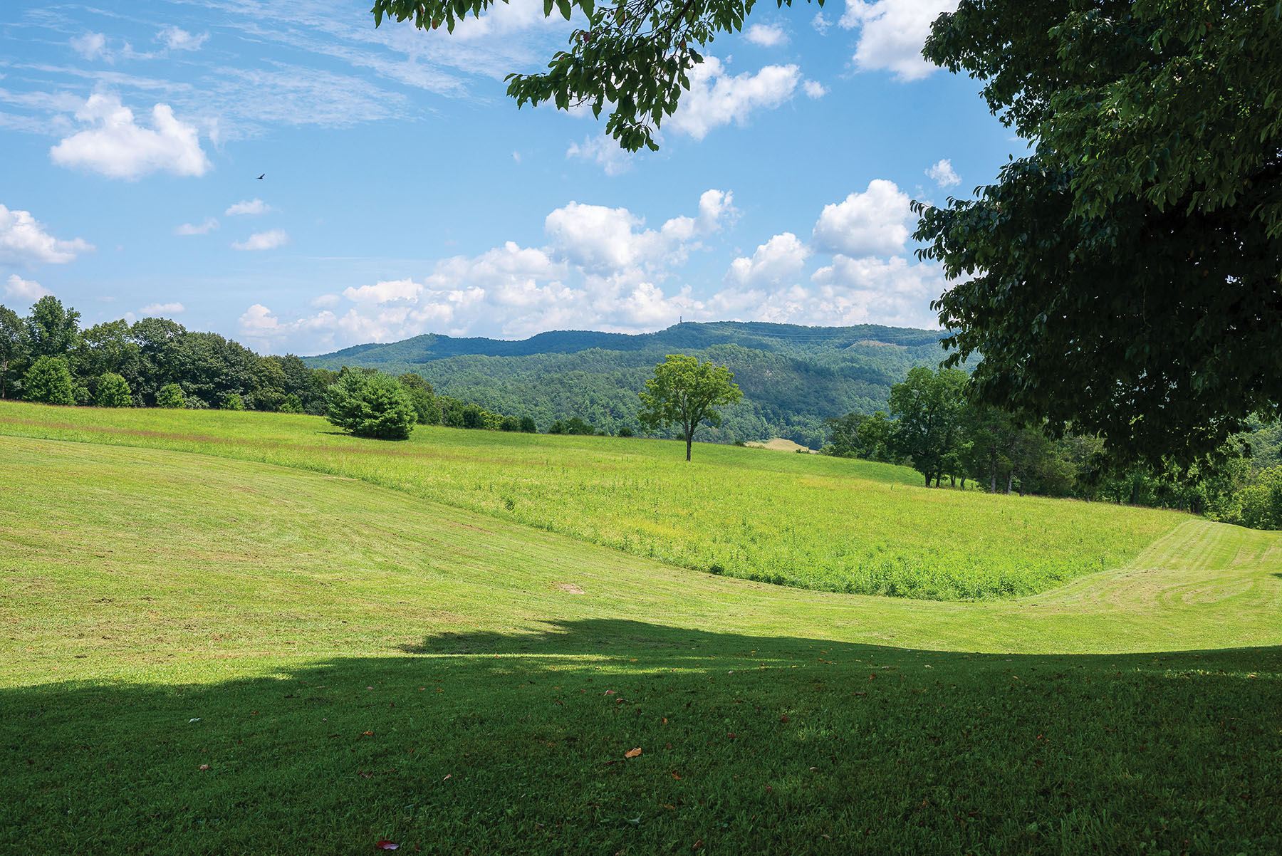 River Ridge Ranch - Sold - Virginia - Hall and Hall