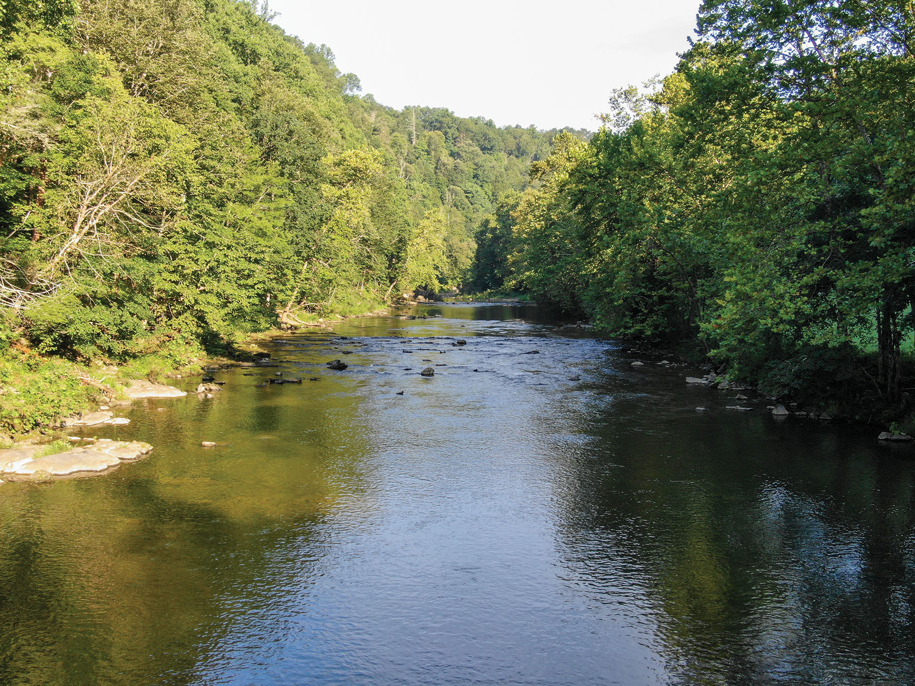 River Ridge Ranch - Sold - Virginia - Hall and Hall