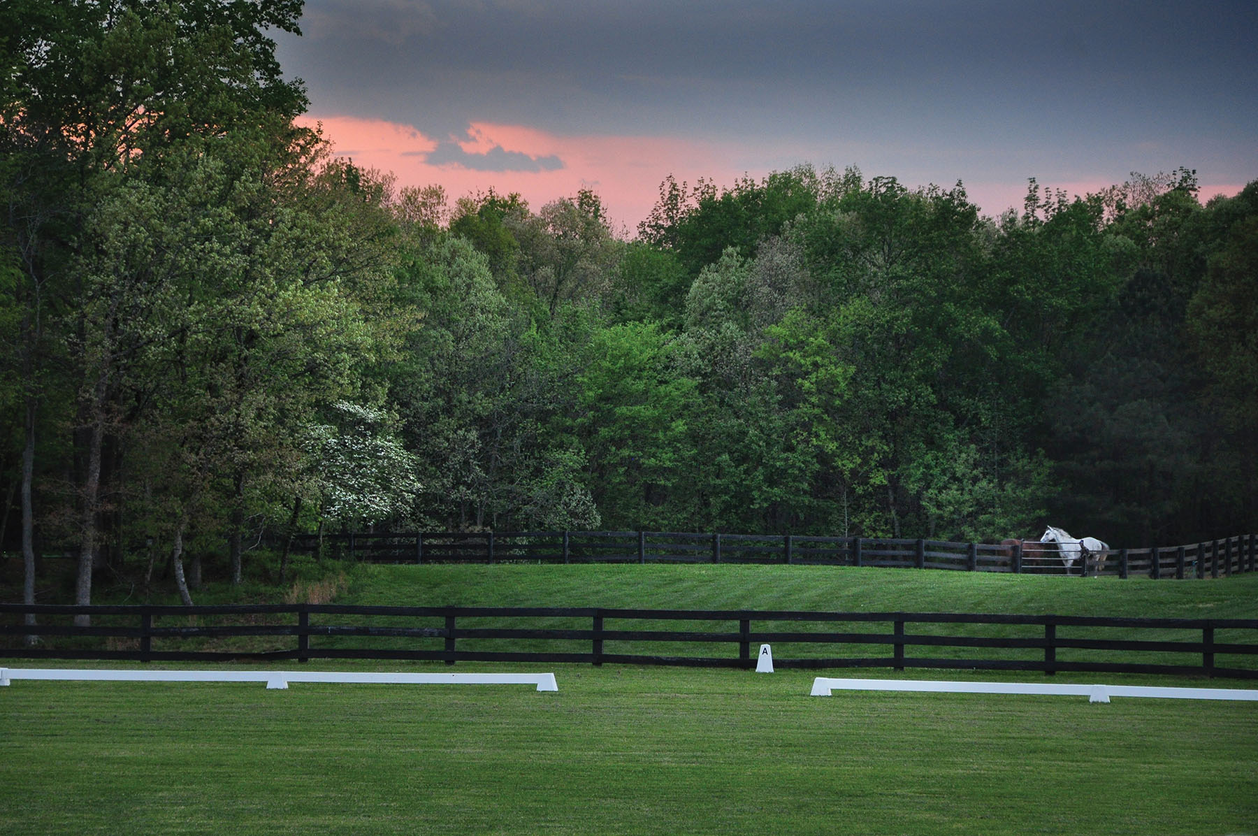 Fork Farm & Stables - Sold - North Carolina - Hall and Hall