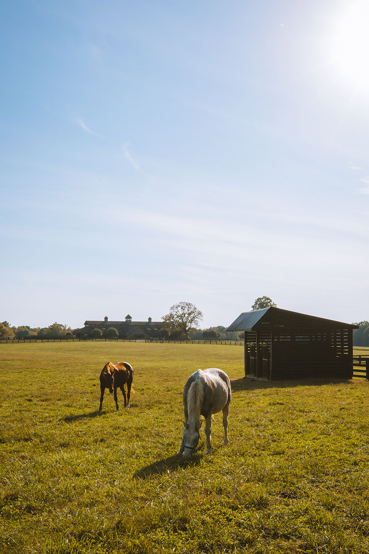 Fork Farm & Stables - Sold - North Carolina - Hall and Hall