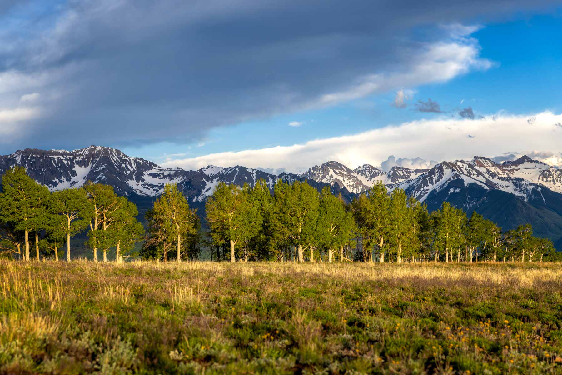 Homewood Ranch - For Sale - Colorado - Hall and Hall