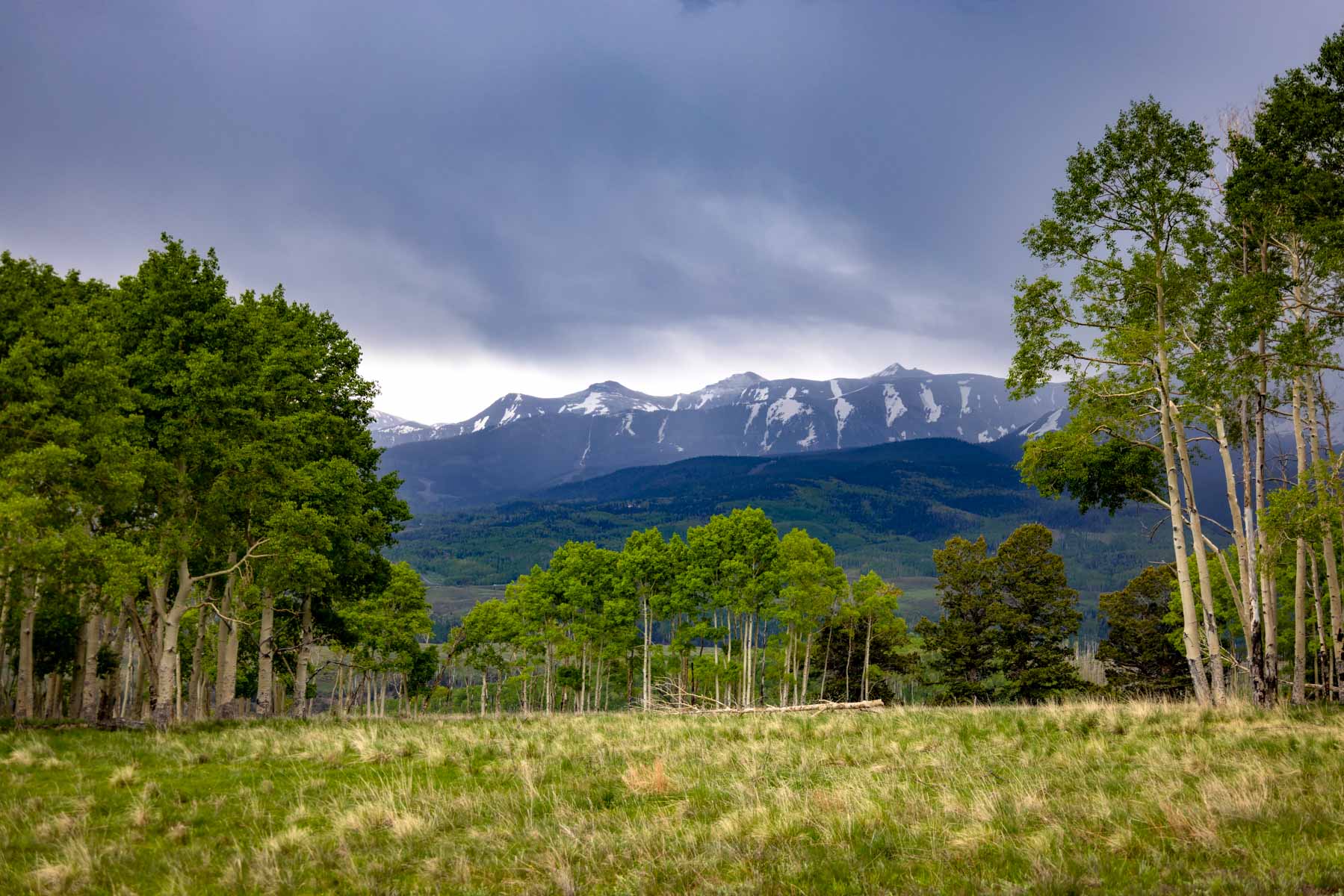 Homewood Ranch - For Sale - Colorado - Hall and Hall