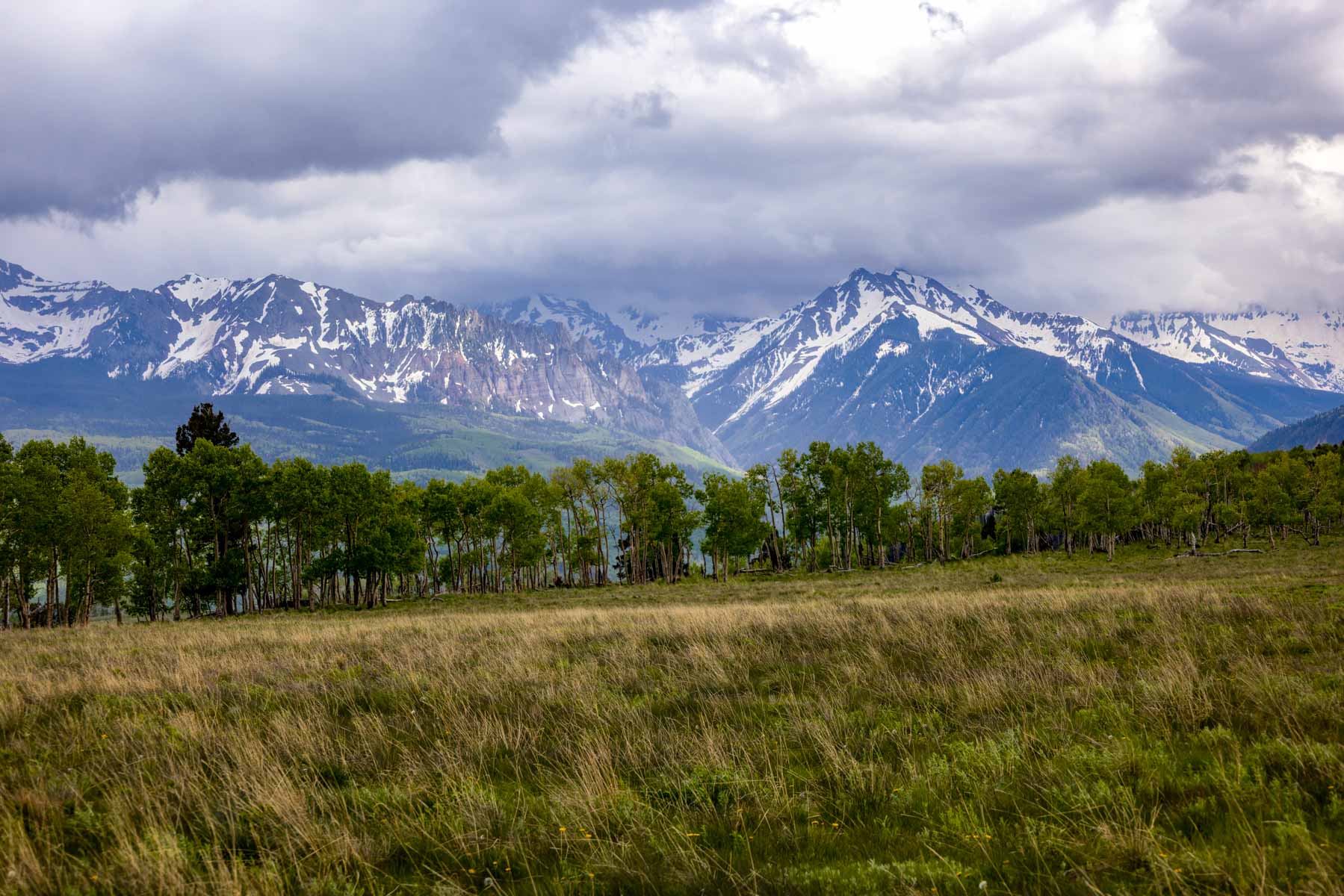 Homewood Ranch - For Sale - Colorado - Hall and Hall