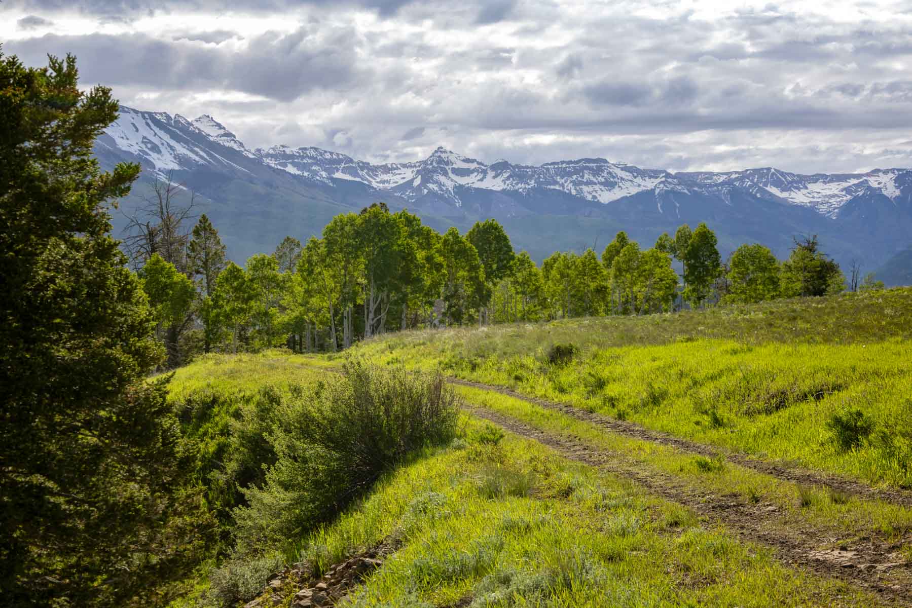 Homewood Ranch - For Sale - Colorado - Hall and Hall