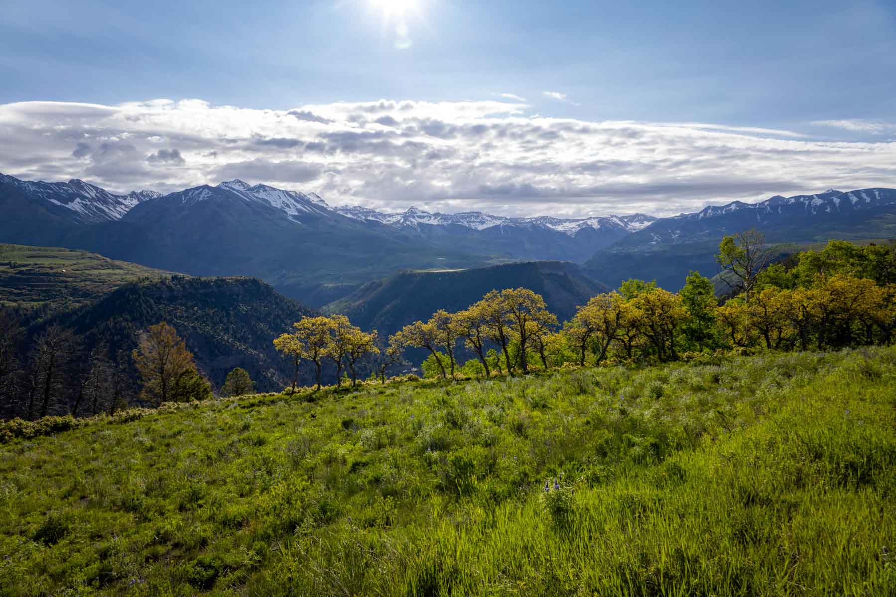 Homewood Ranch - For Sale - Colorado - Hall and Hall