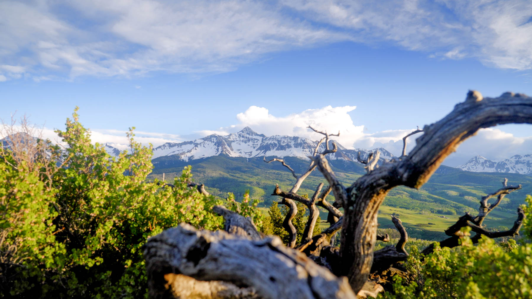 Homewood Ranch - For Sale - Colorado - Hall and Hall