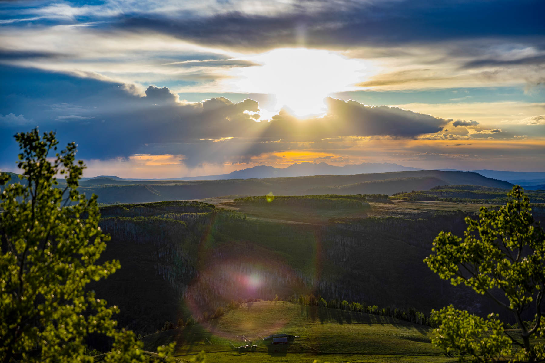 Homewood Ranch - For Sale - Colorado - Hall and Hall