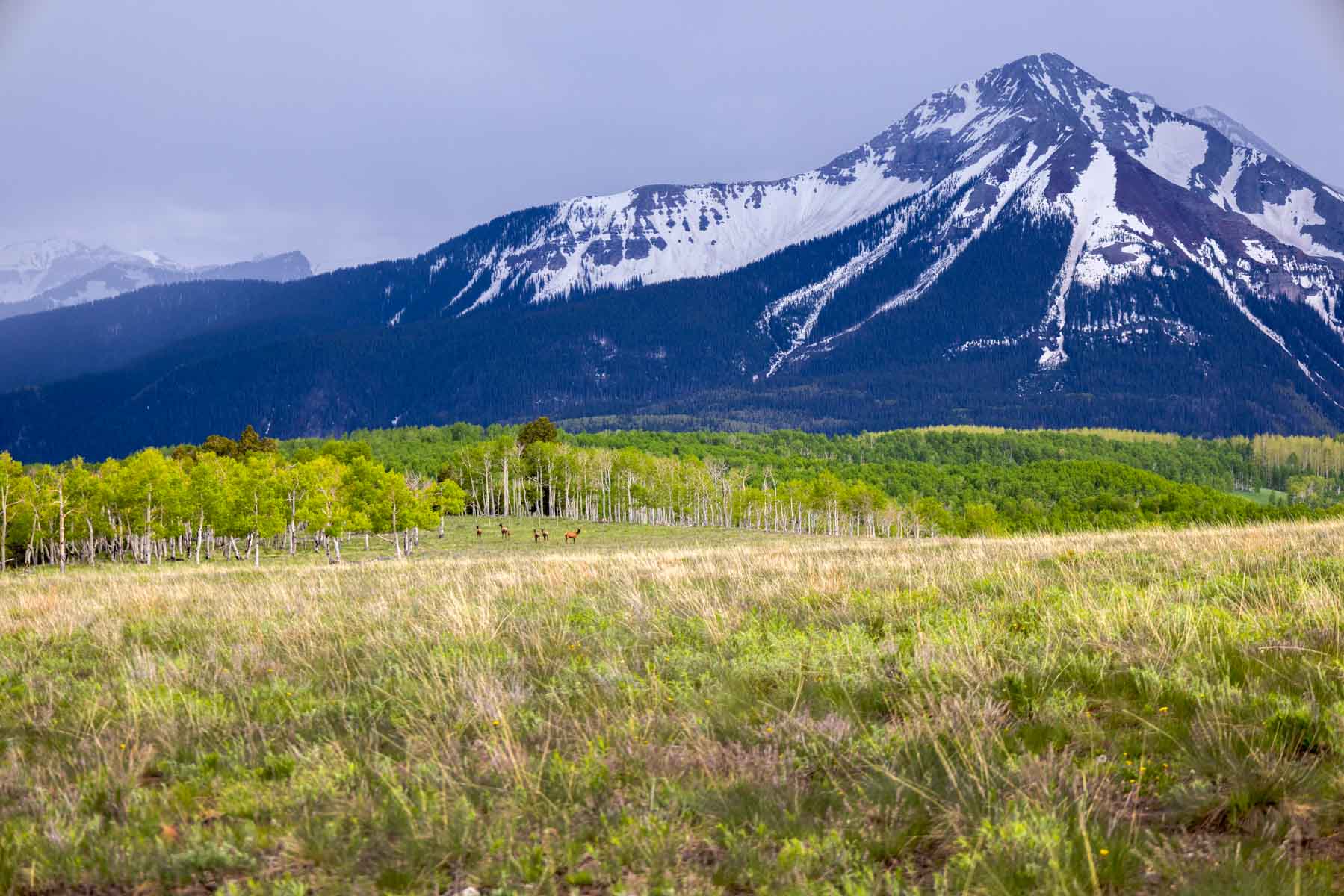 Homewood Ranch - For Sale - Colorado - Hall and Hall