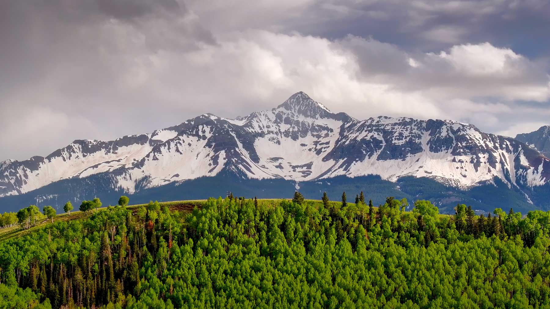 Homewood Ranch - For Sale - Colorado - Hall and Hall