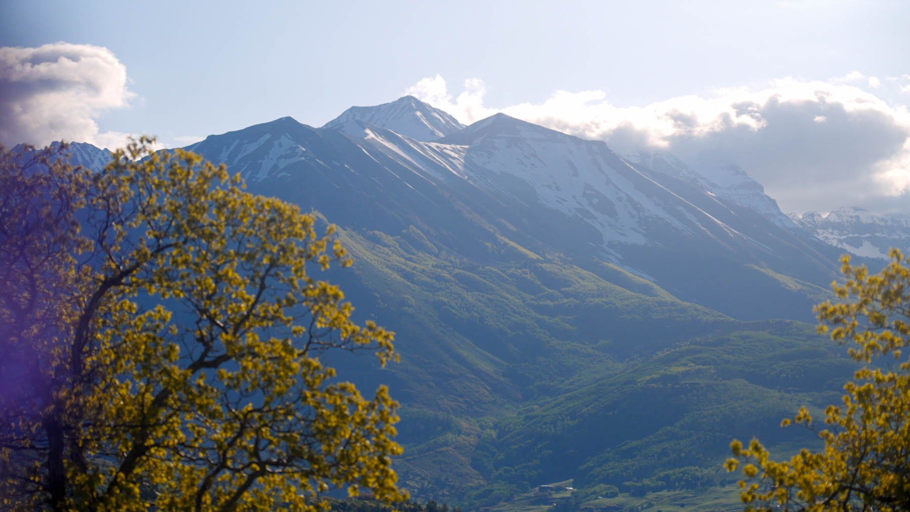 Homewood Ranch - For Sale - Colorado - Hall and Hall