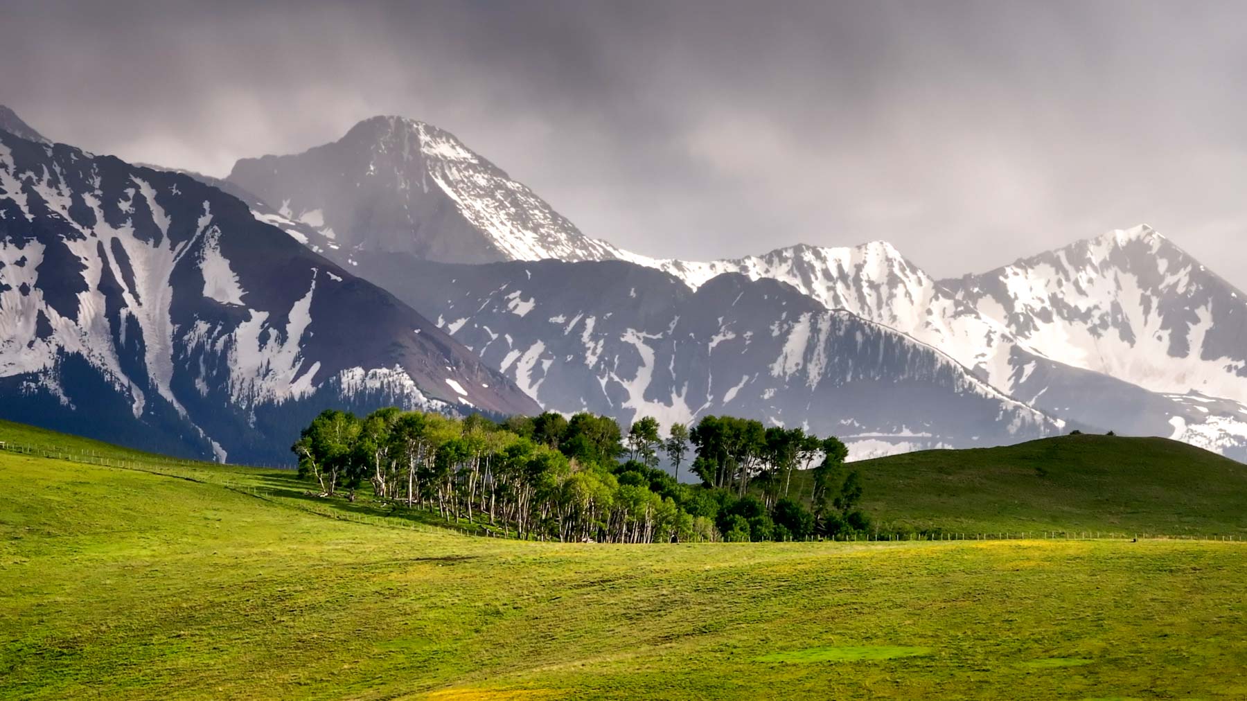 Homewood Ranch - For Sale - Colorado - Hall and Hall