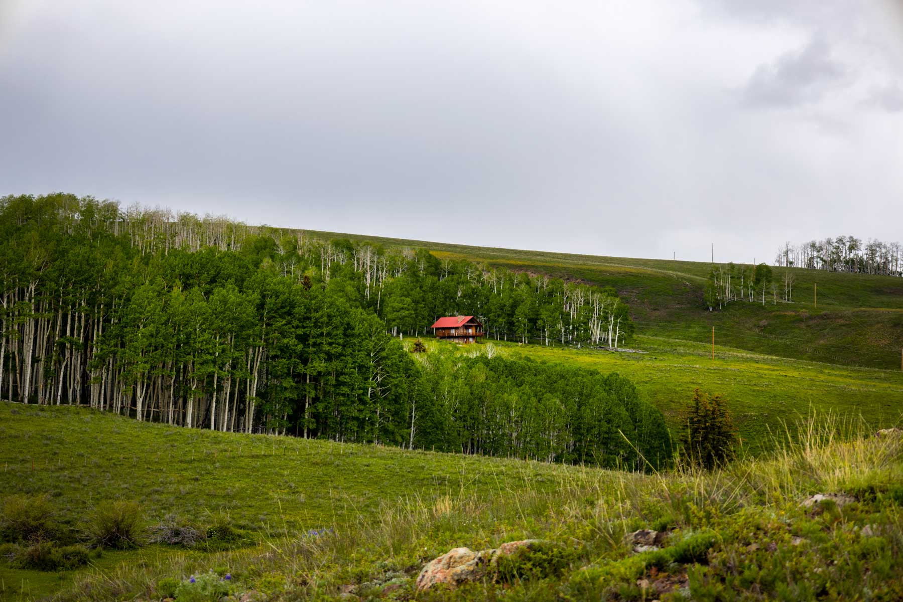 Homewood Ranch - For Sale - Colorado - Hall and Hall