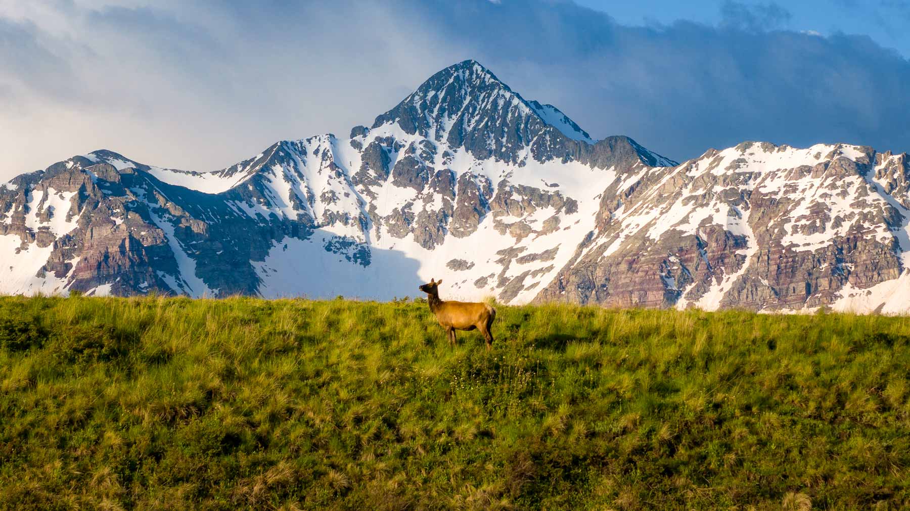 Homewood Ranch - For Sale - Colorado - Hall and Hall