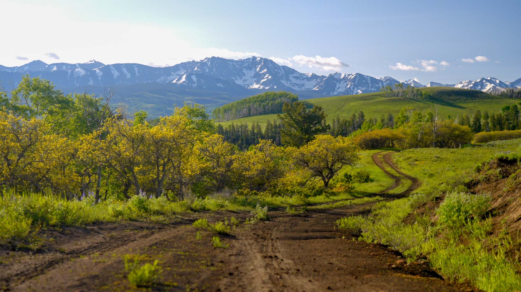 Homewood Ranch - For Sale - Colorado - Hall and Hall
