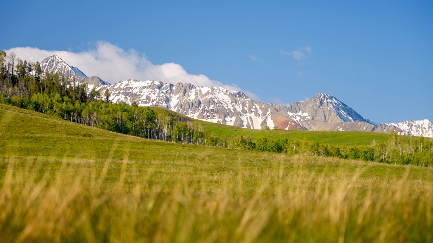Homewood Ranch - For Sale - Colorado - Hall and Hall
